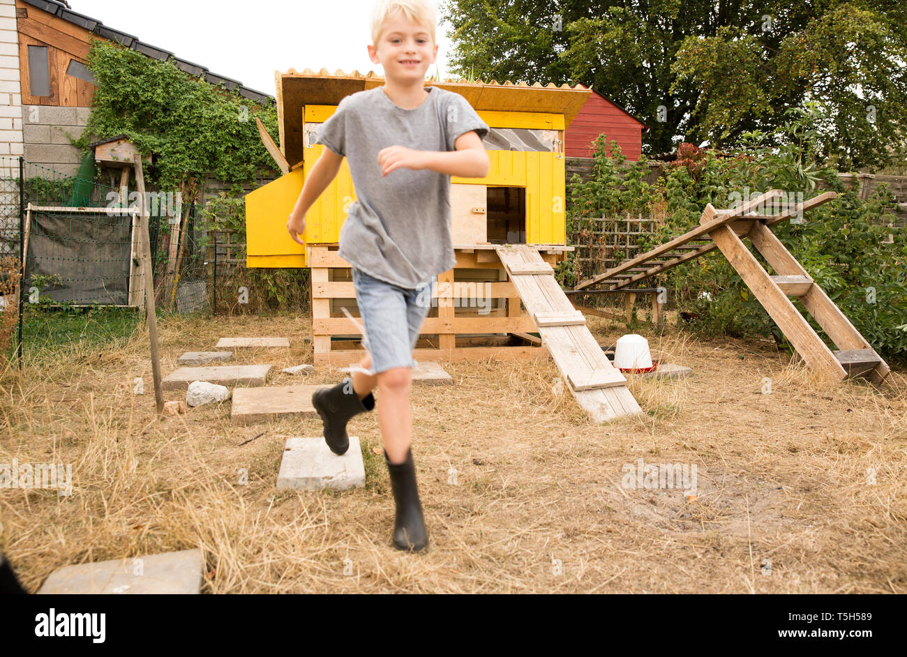 Chickenhouse hi-res stock photography and images - Alamy