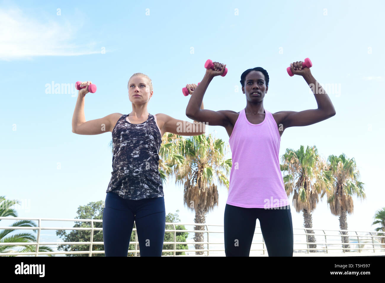 Women exercises two dumbbells hi-res stock photography and images - Alamy
