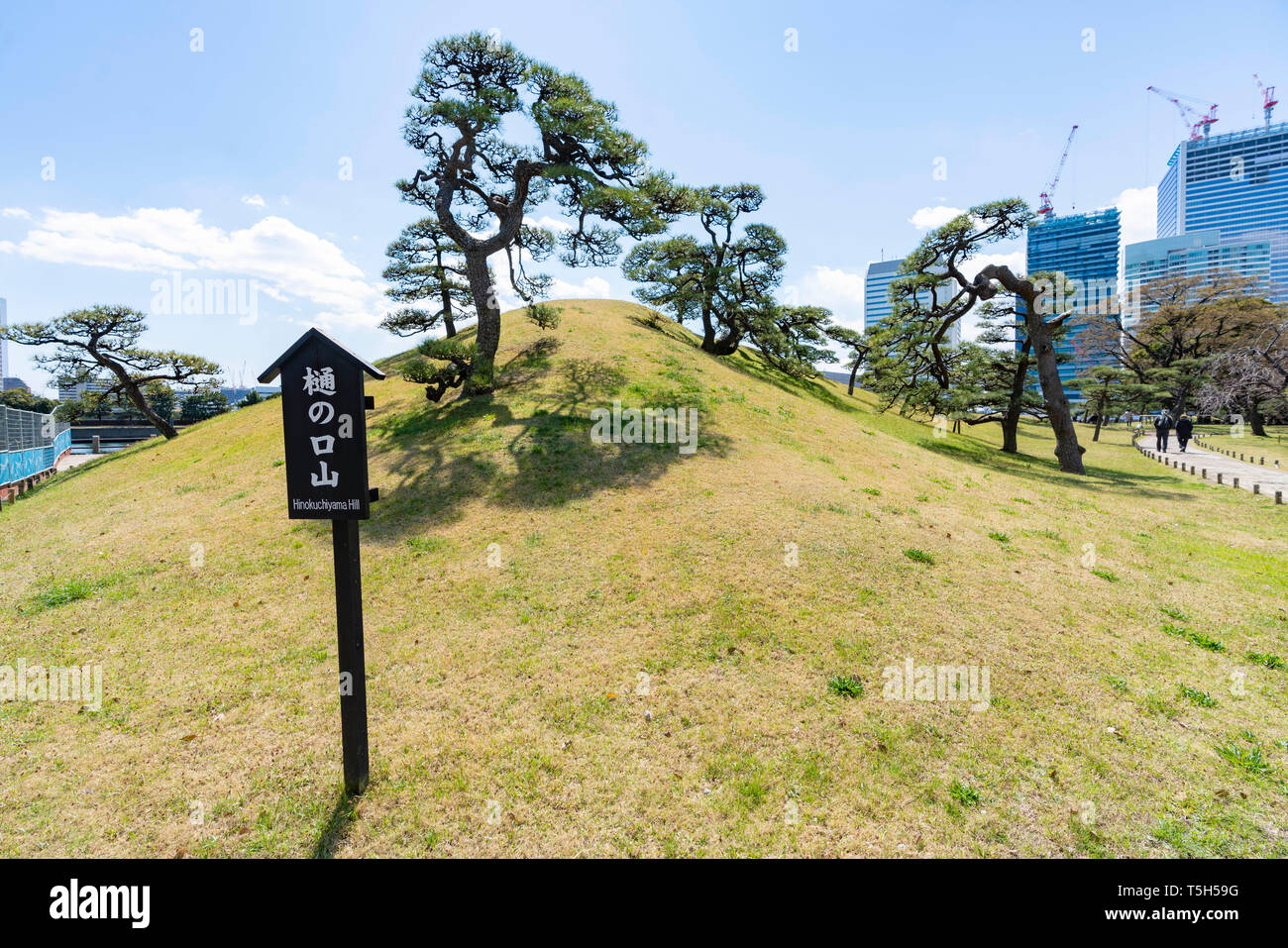 Hinokuciyama Hill, Hamarikyu Gardens, Chuo-Ku, Tokyo, Japan Stock Photo ...