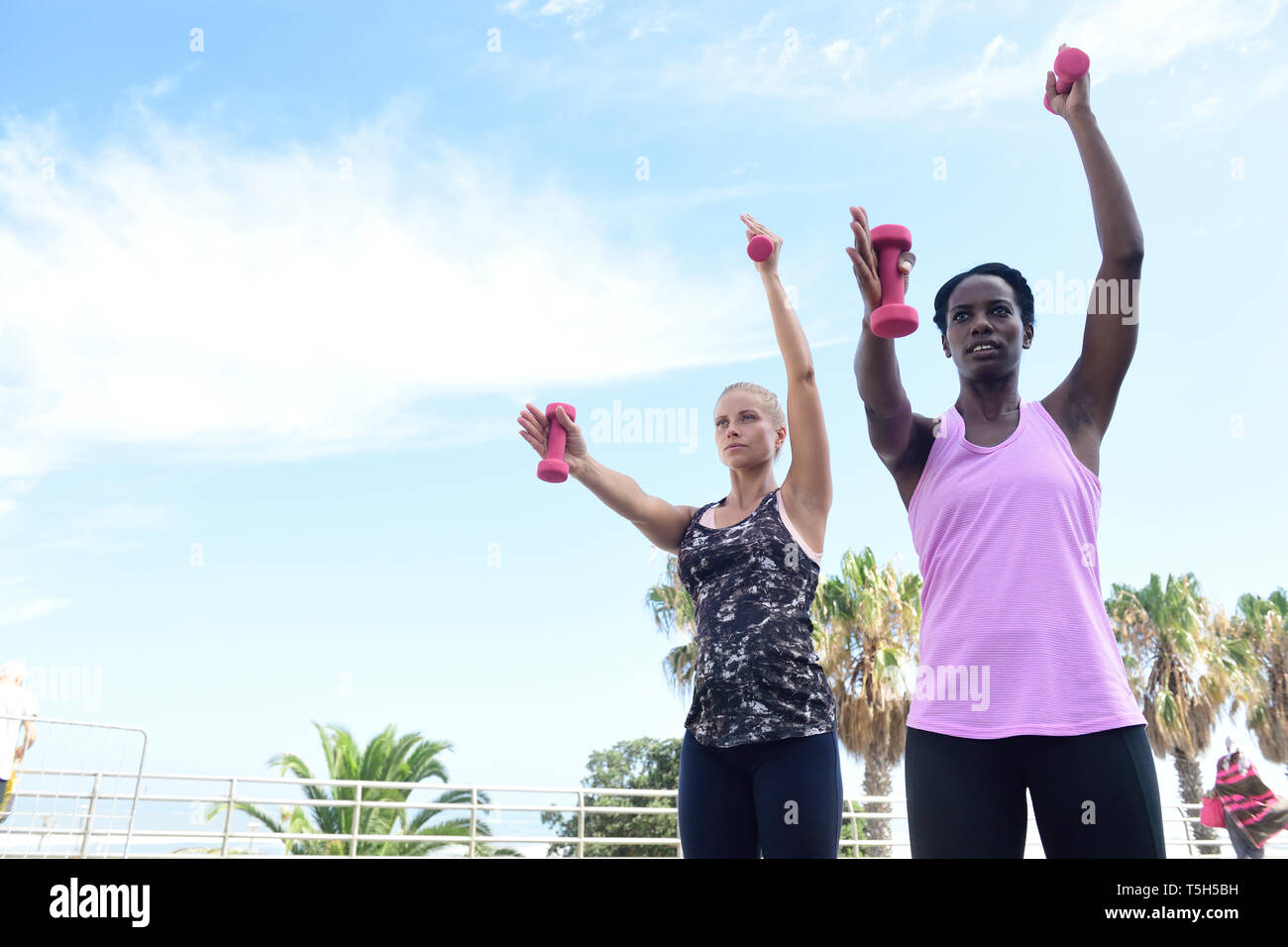 Fitness exercises hi-res stock photography and images - Alamy