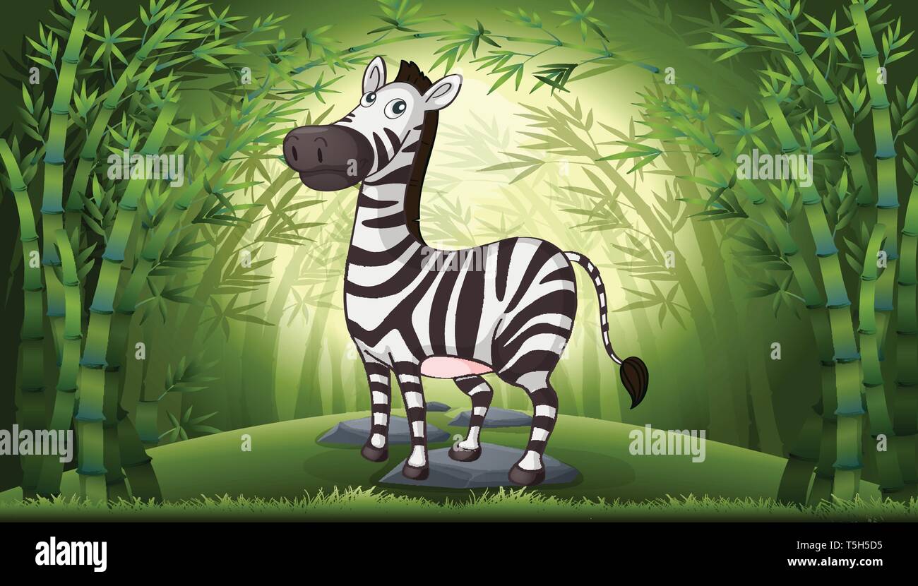 A zebra in bamboo forest illustration Stock Vector Image & Art - Alamy
