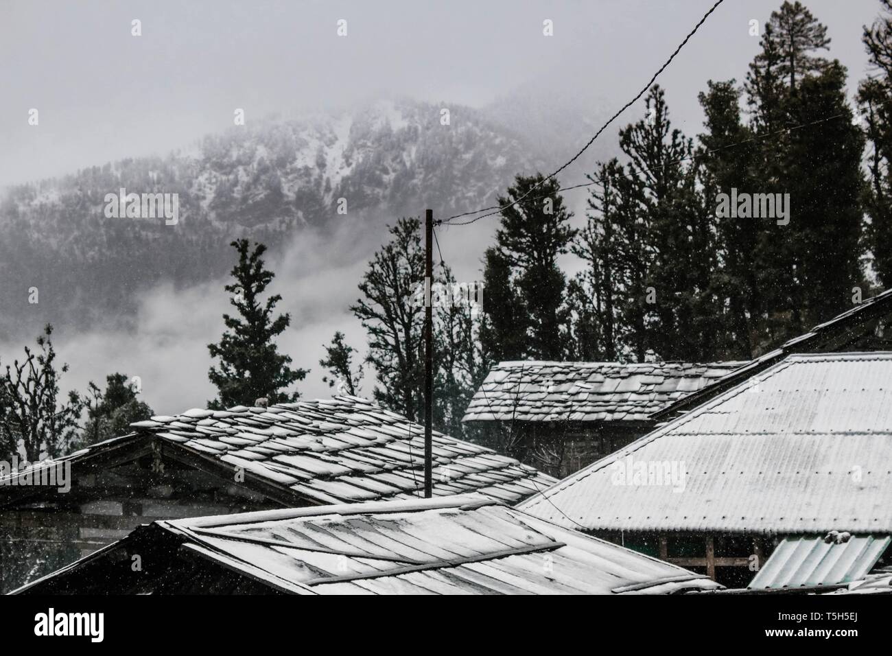 Snowy rooftops and trees with beautiful mountain covered in fog Stock ...