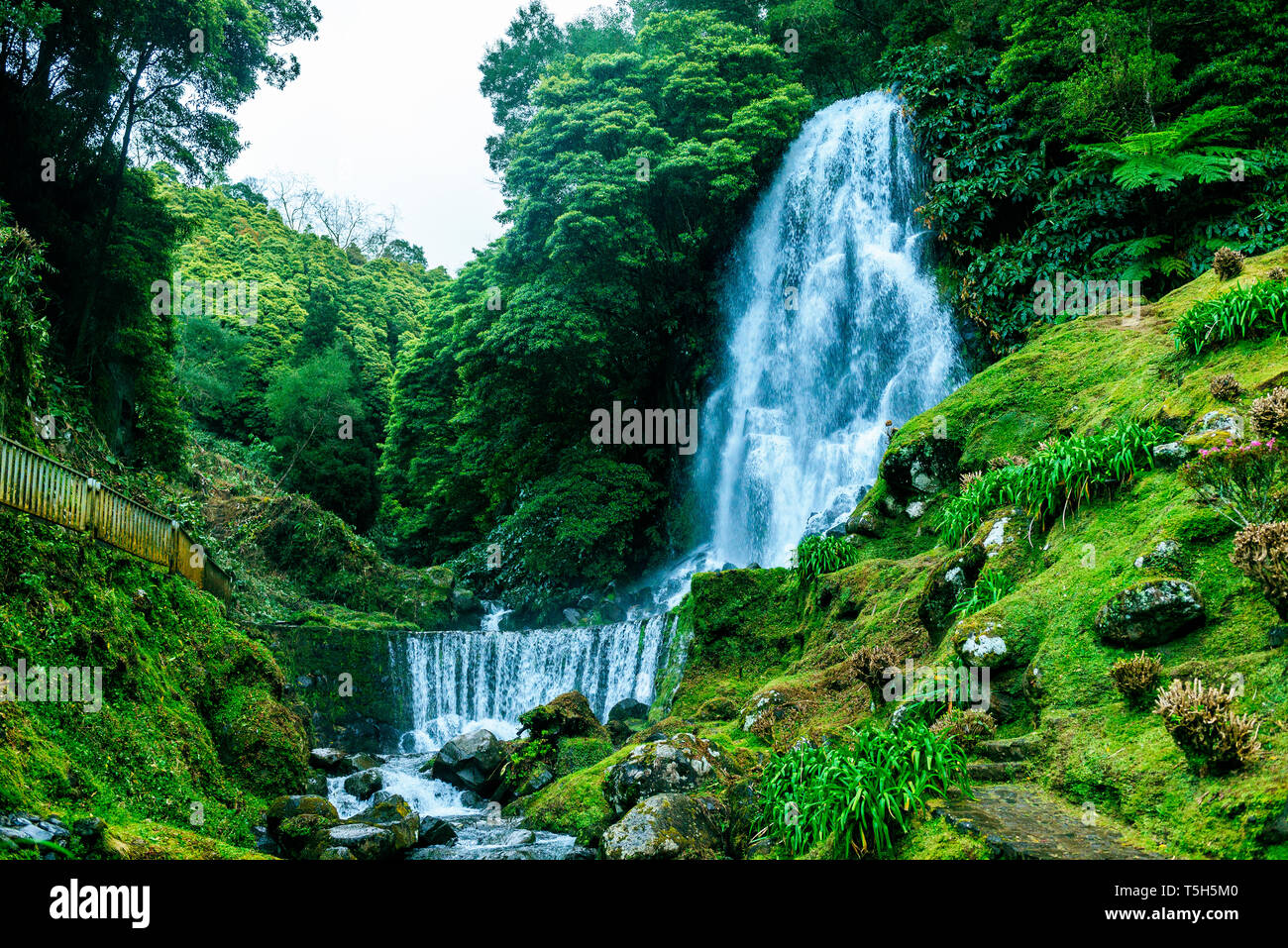 Portugal, Azores Islands, Sao Miguel, Waterfall Stock Photo - Alamy