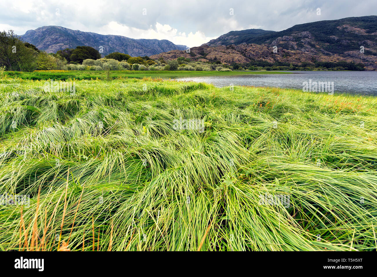 Zamora province hi-res stock photography and images - Alamy