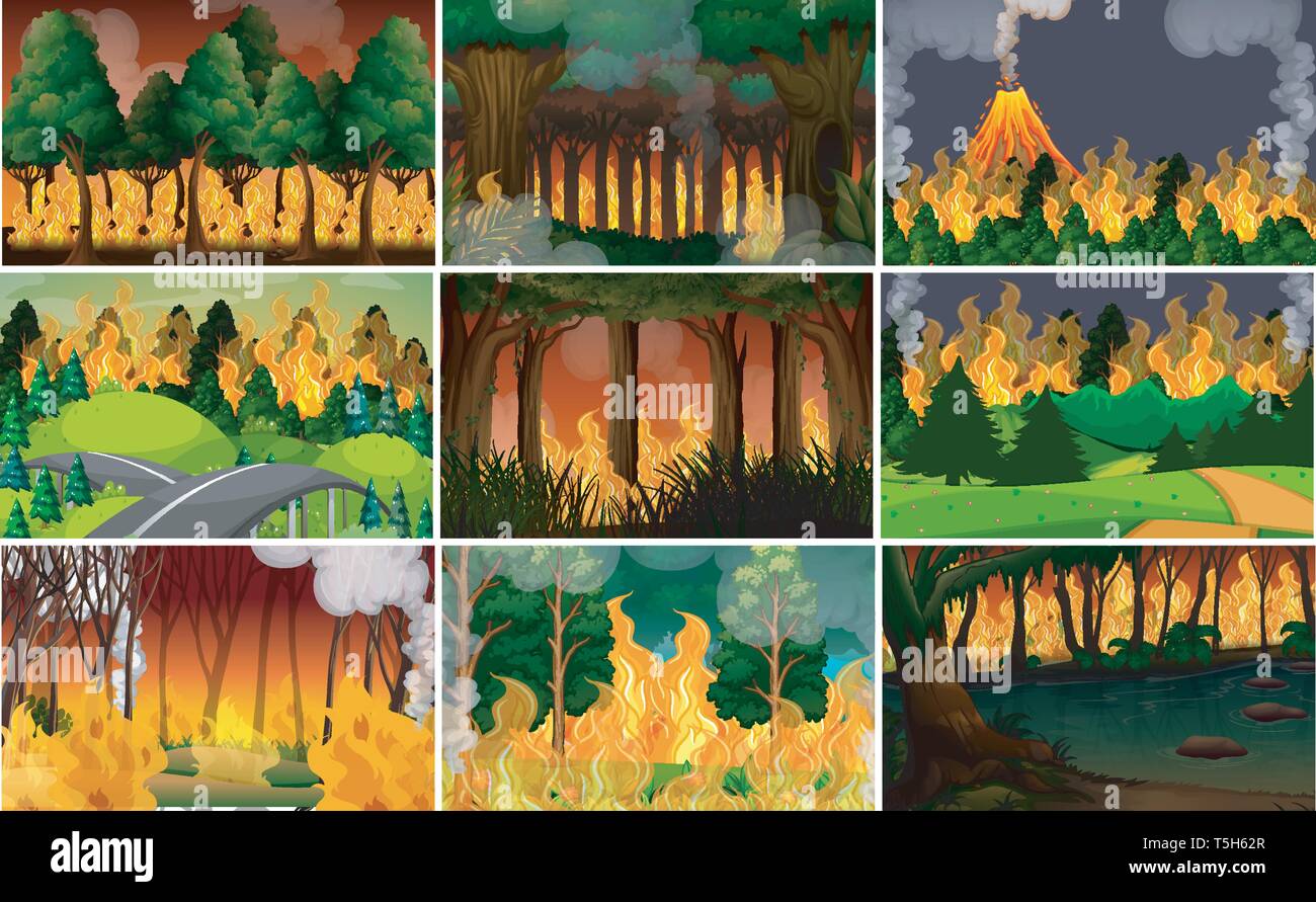 Set of wild fire background illustration Stock Vector Image & Art - Alamy