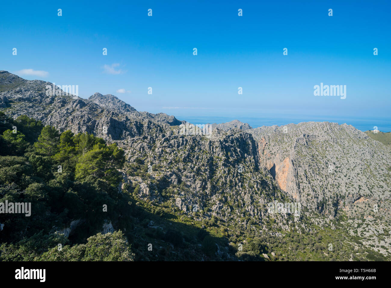 Spain, Baleares, Mallorca Stock Photo - Alamy