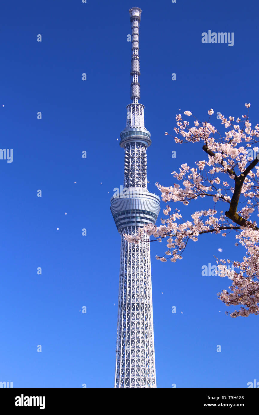 Tokyo skytree hi-res stock photography and images - Alamy