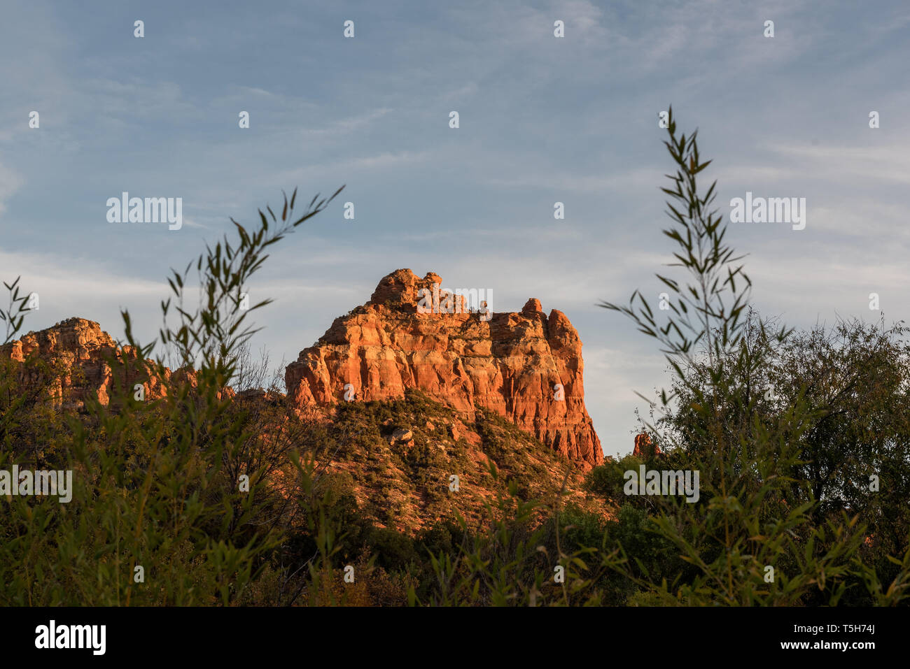 Snoopy Rock in Sedona, Arizona Stock Photo - Alamy