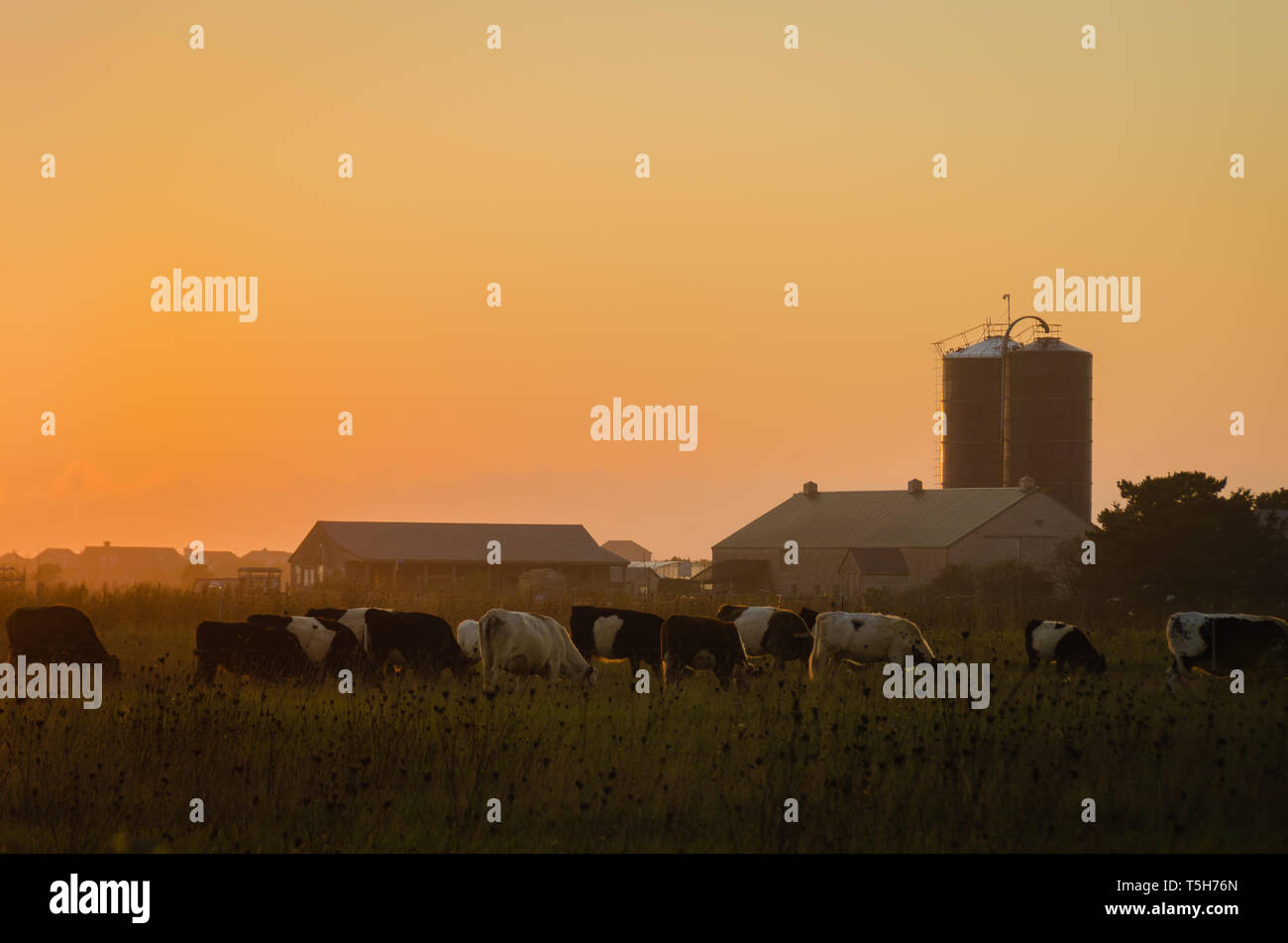 Mv katama hi-res stock photography and images - Alamy