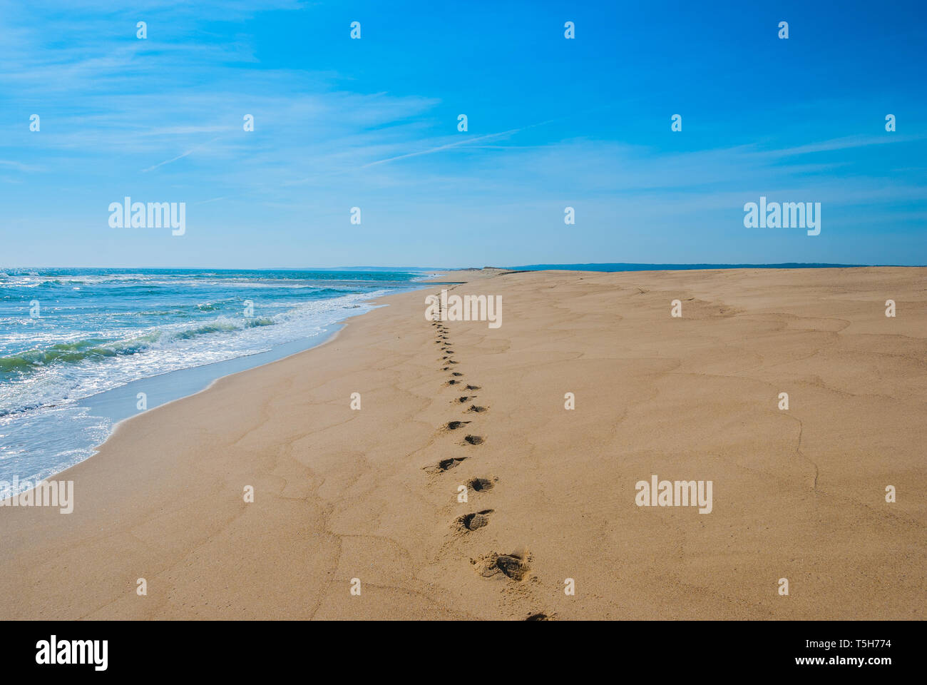 Solitary footprints meander down a gorgeous (and empty) beach Stock ...