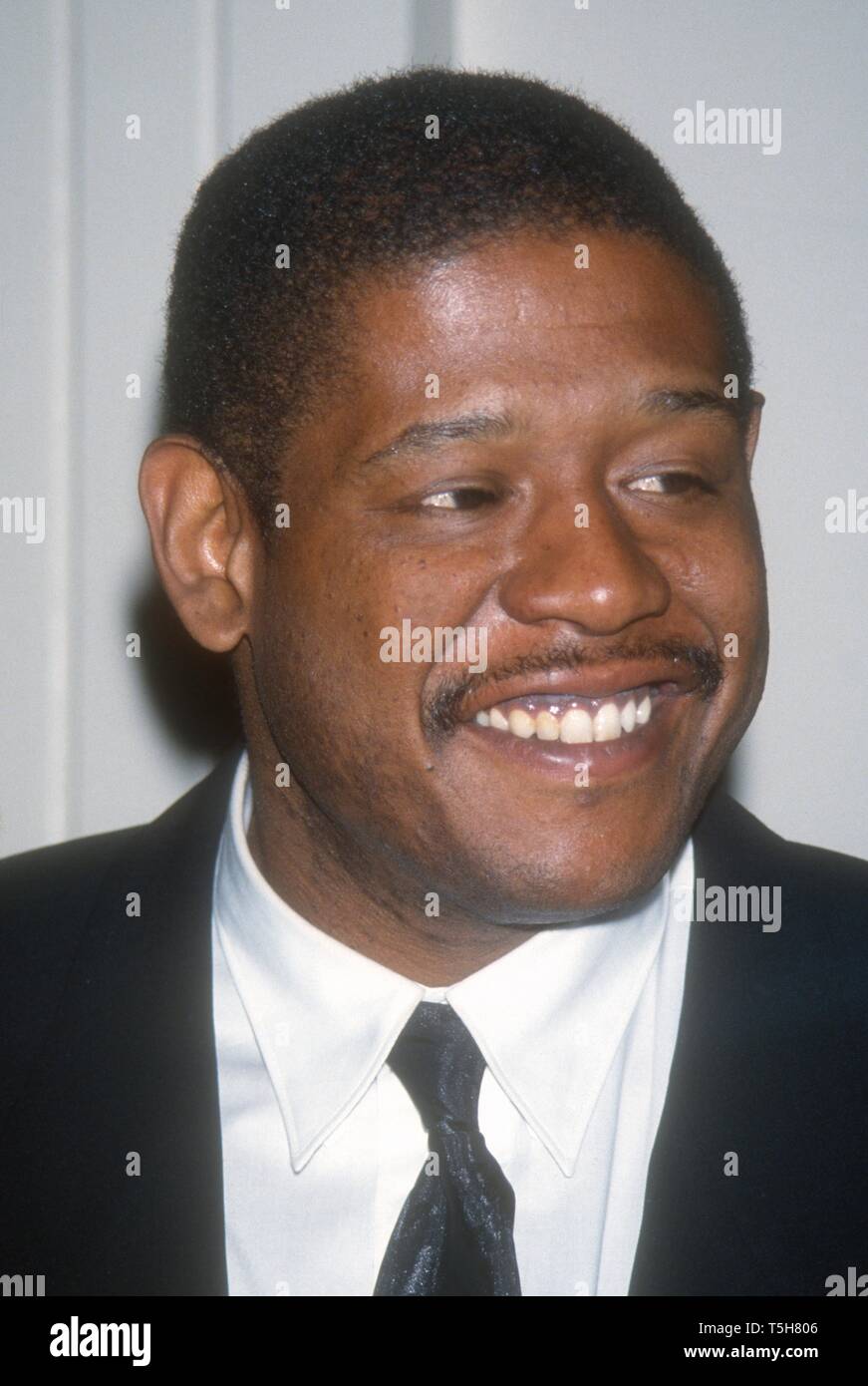 Stewart Whitaker's Instagram, Twitter & Facebook on IDCrawl