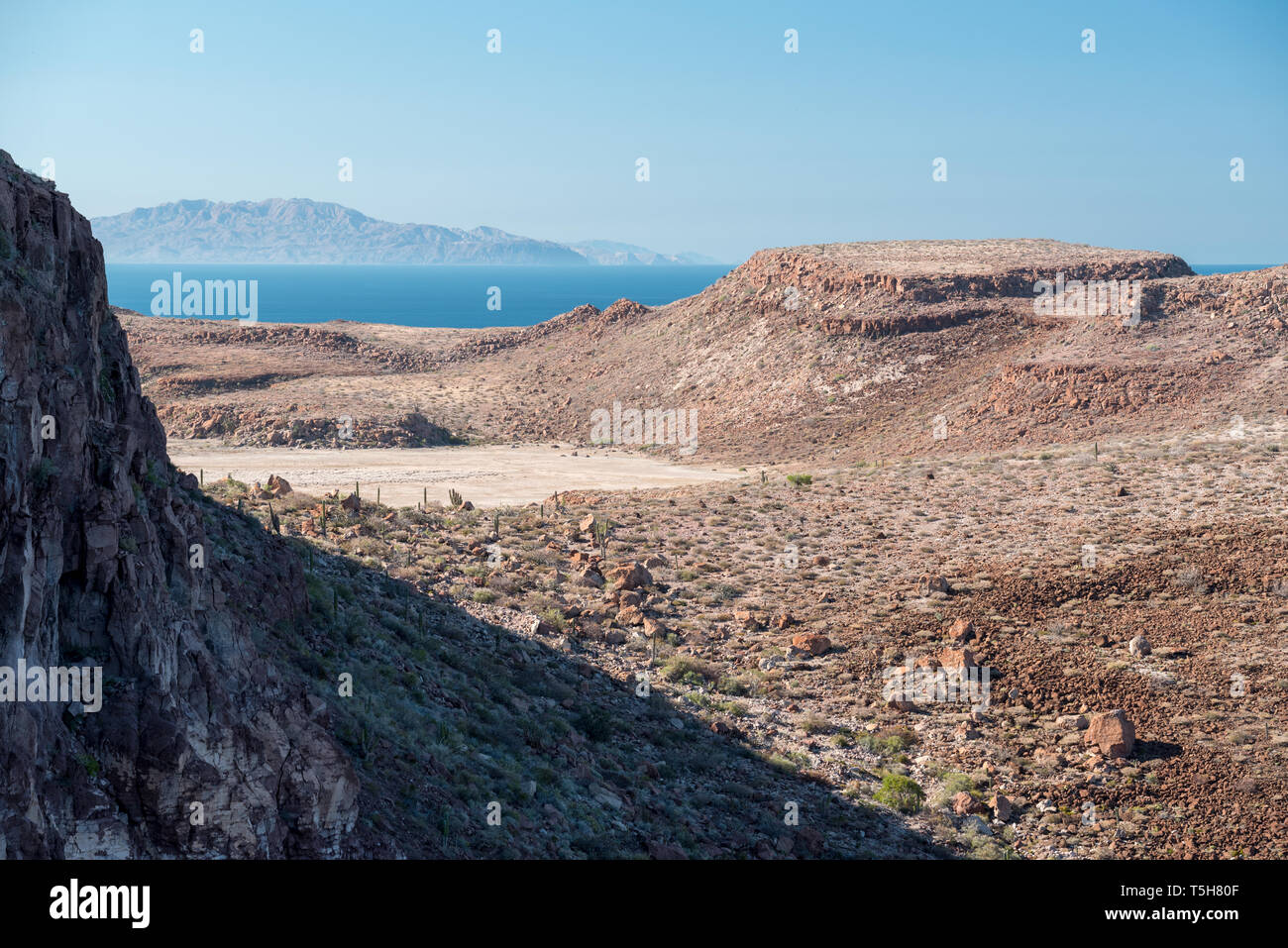 Baja California Desert High Resolution Stock Photography and Images - Alamy