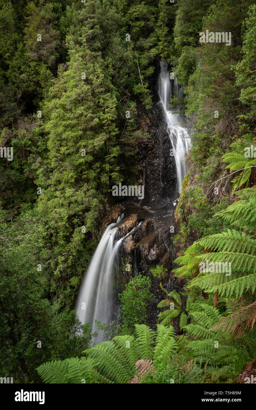 Double drop waterfall in a lush rainforest Stock Photo - Alamy