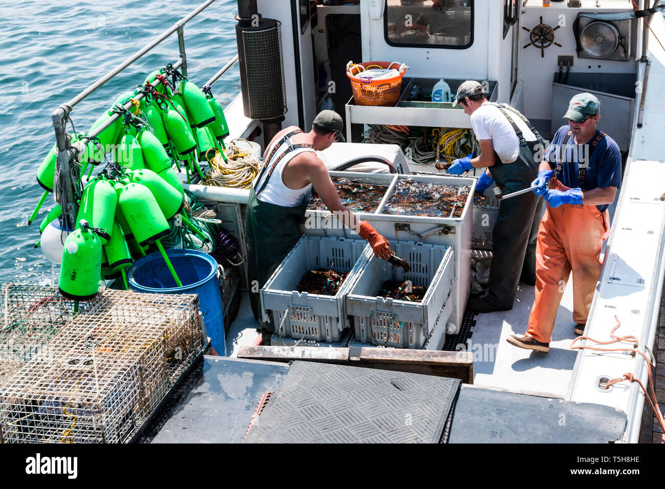 Vinalhaven maine hi-res stock photography and images - Alamy