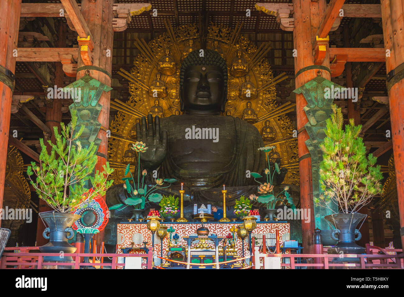 Statue of buddha nara hi-res stock photography and images - Alamy