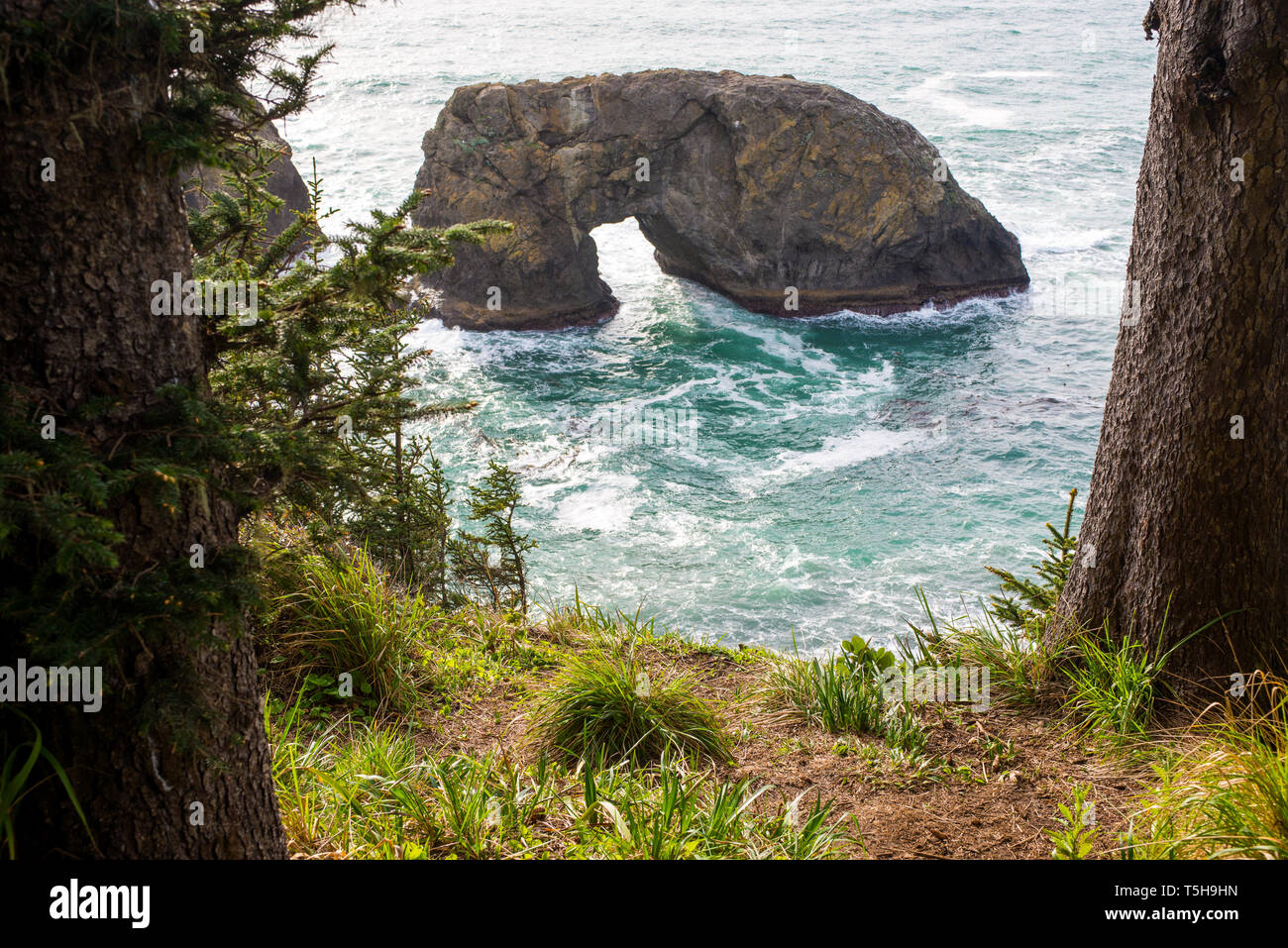 Beautiful Oregon Coast Stock Photo - Alamy