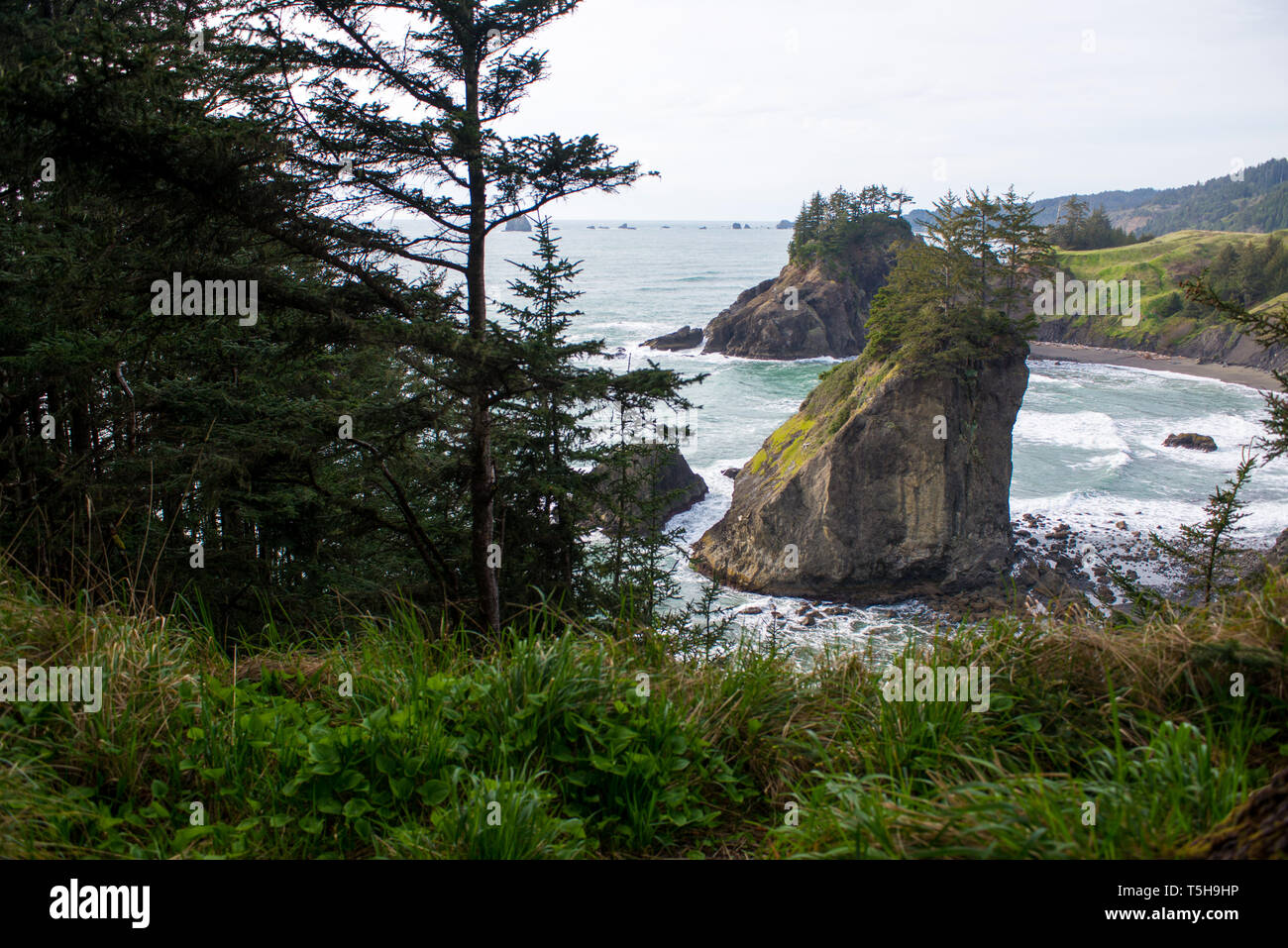 Portland oregon arch arches hi-res stock photography and images - Alamy