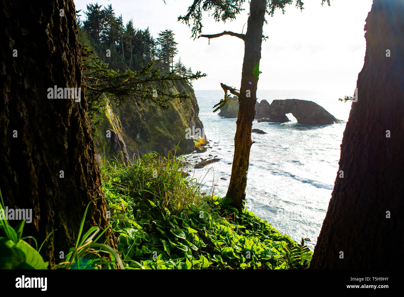 Beautiful oregon coast hi-res stock photography and images - Alamy