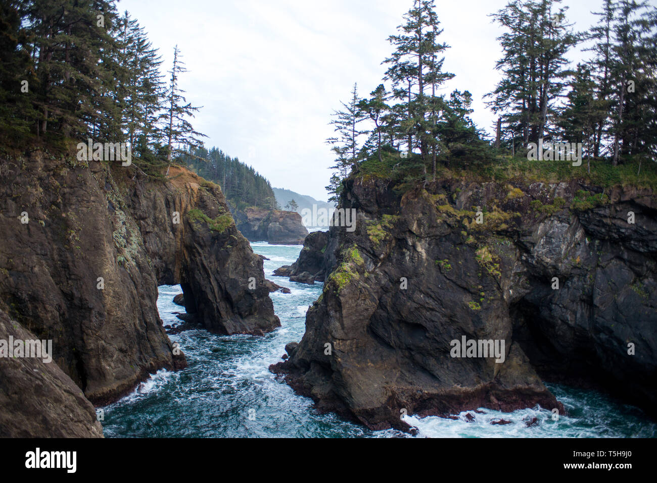 Portland oregon arch arches hi-res stock photography and images - Alamy