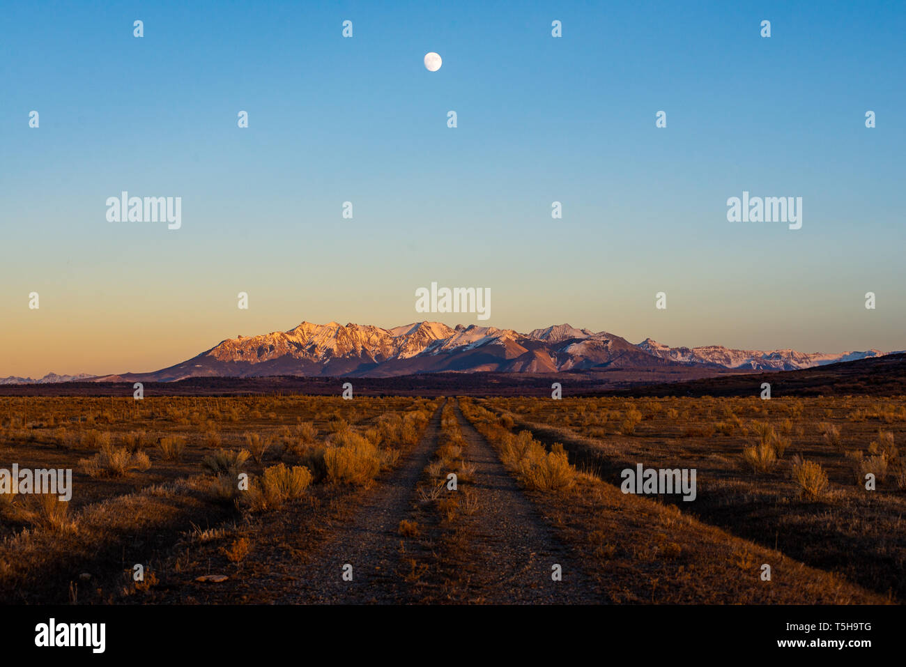 Road to the San Juan Mountains in Colorado Stock Photo - Alamy