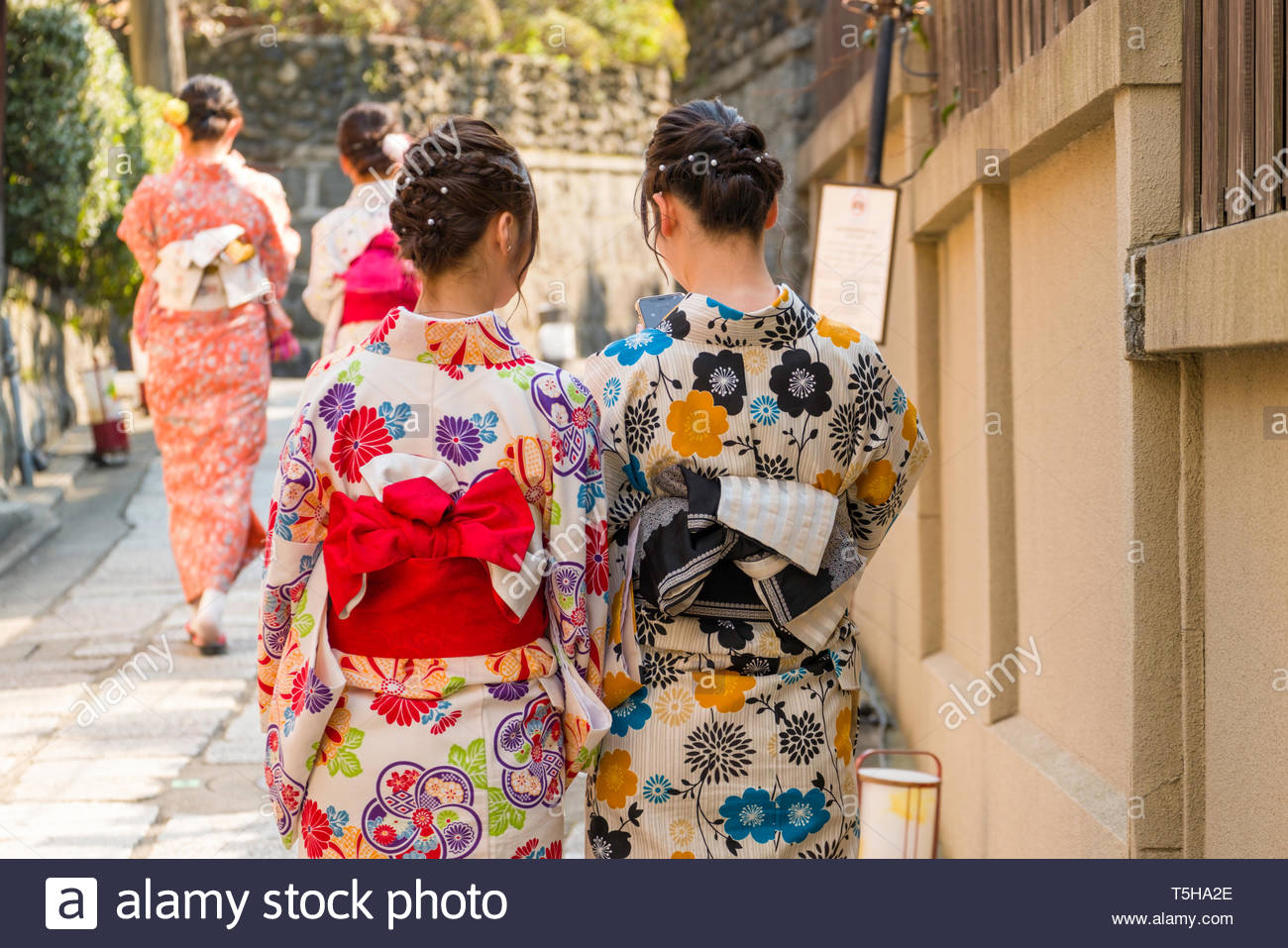 Japanese Kimono Back High Resolution Stock Photography and Images - Alamy