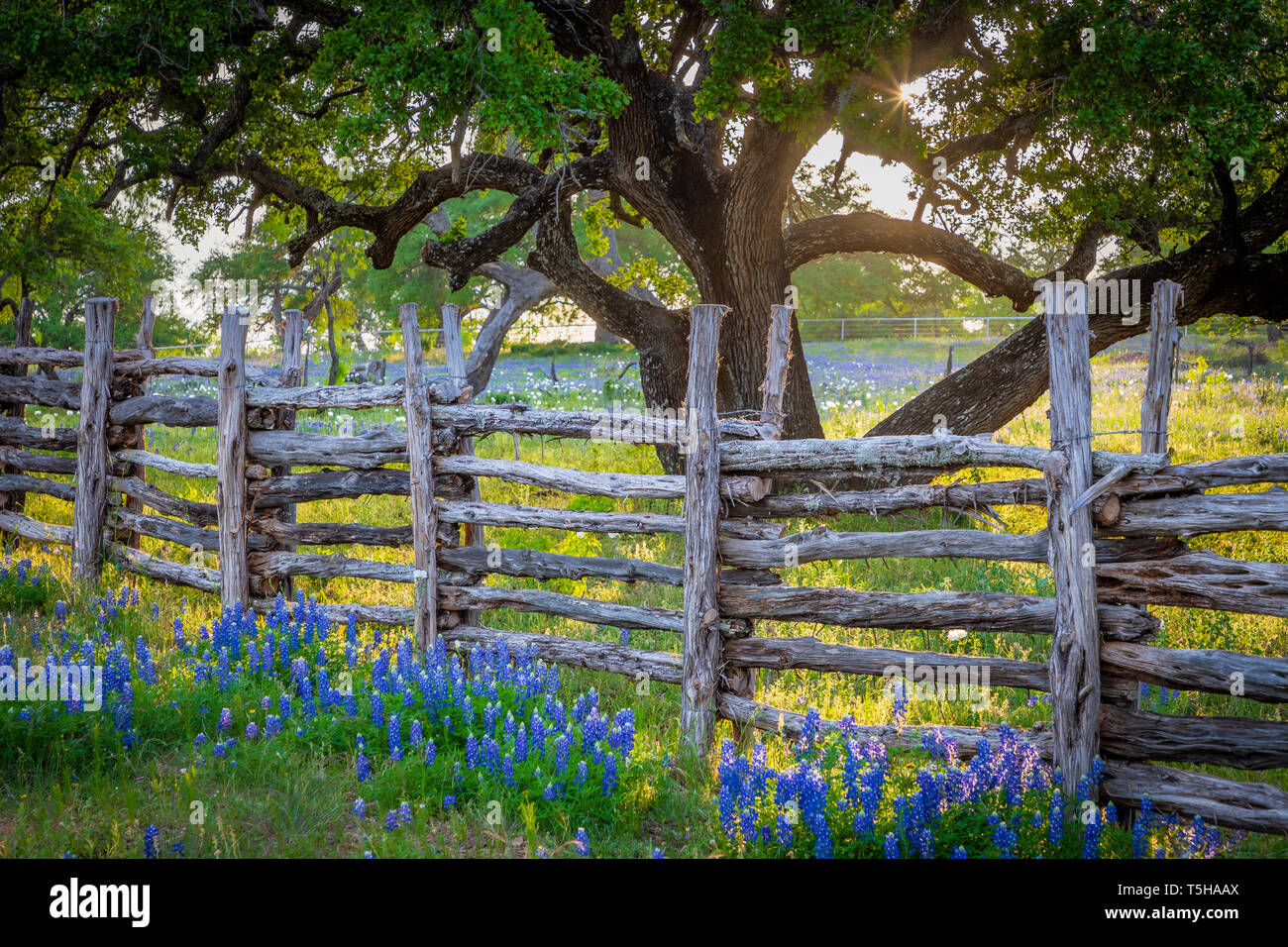 The Texas Hill Country is a twenty-five county region of Central Texas ...