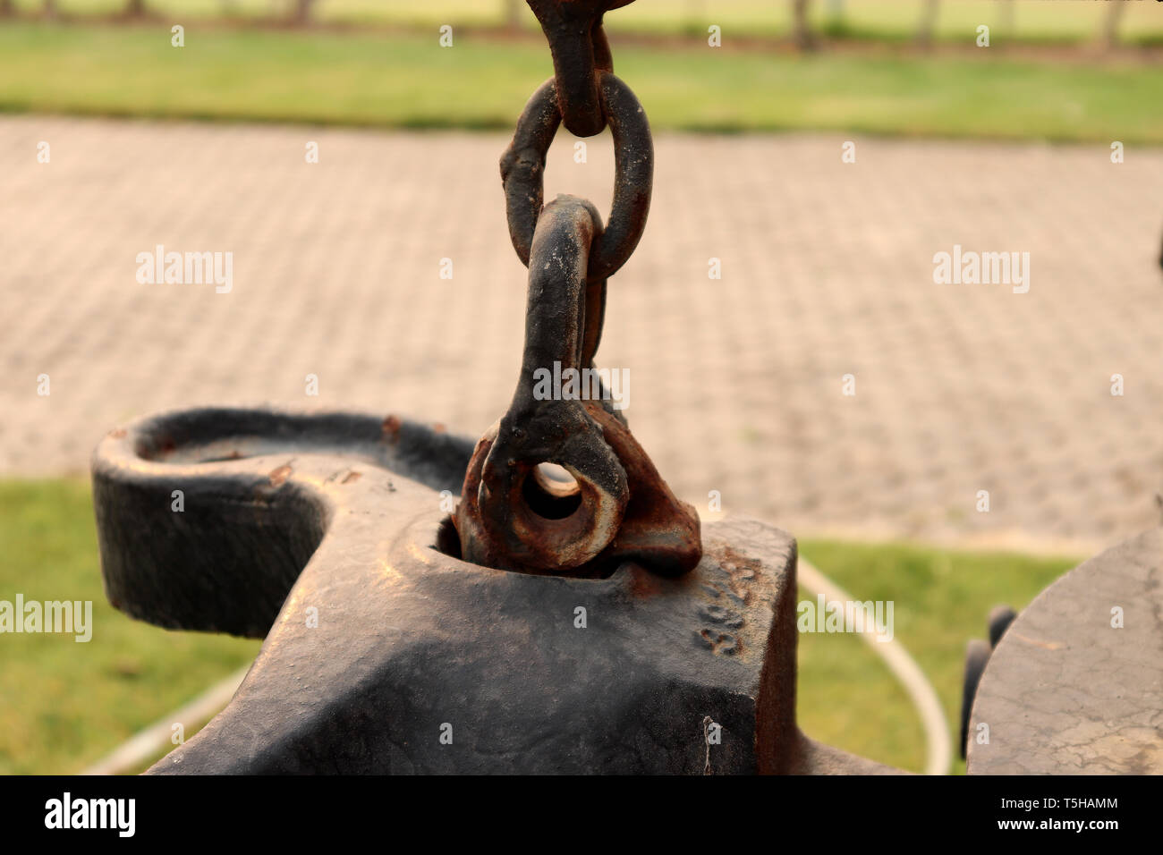 Rusty Bolt Type Anchor Shackles , hook on chain ,climbing carabiner on ...