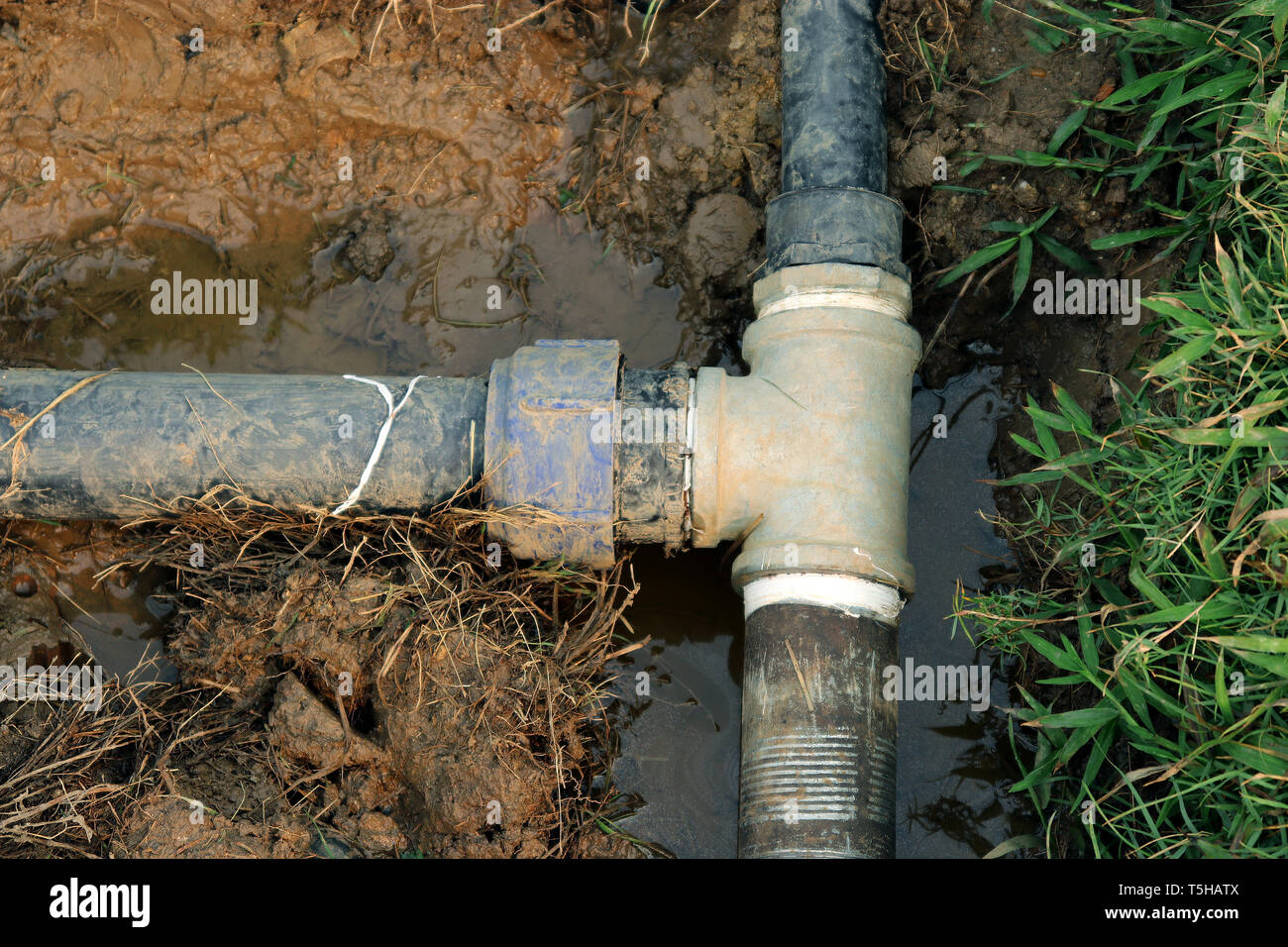 pipe connection, T socket ,tree way pipe, a three-way with soil ...