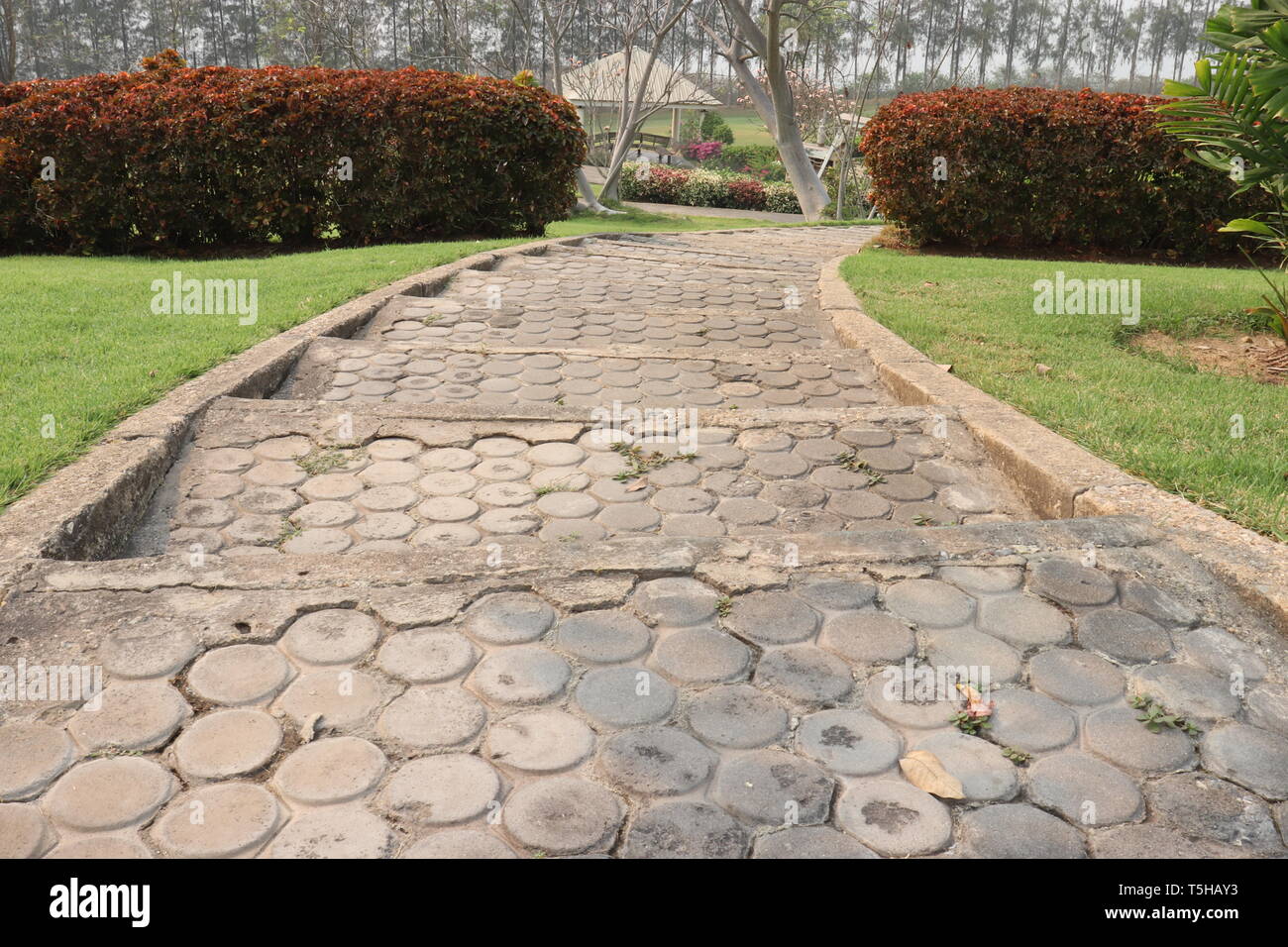 Pathway in garden, Stone walkway in the park with green grass High ...