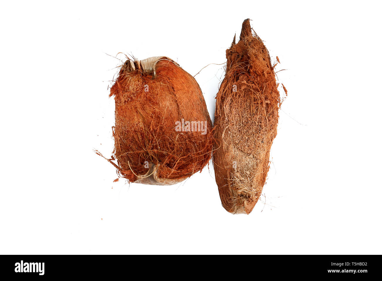 coconut shell's hair,coconut peel isolated on white background High ...