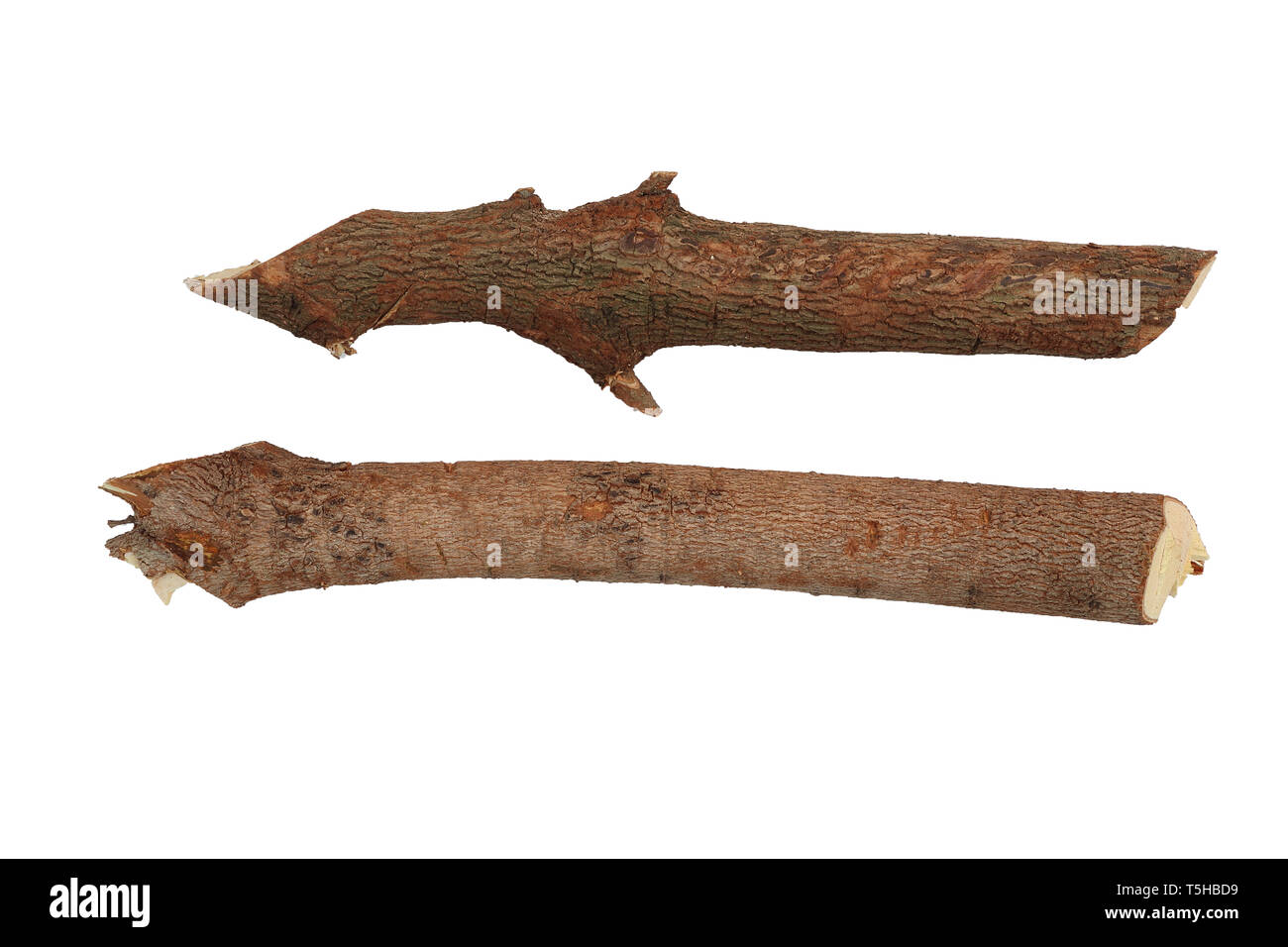 Dry branches Twigs isolated on white background, firewood, prepared for ...