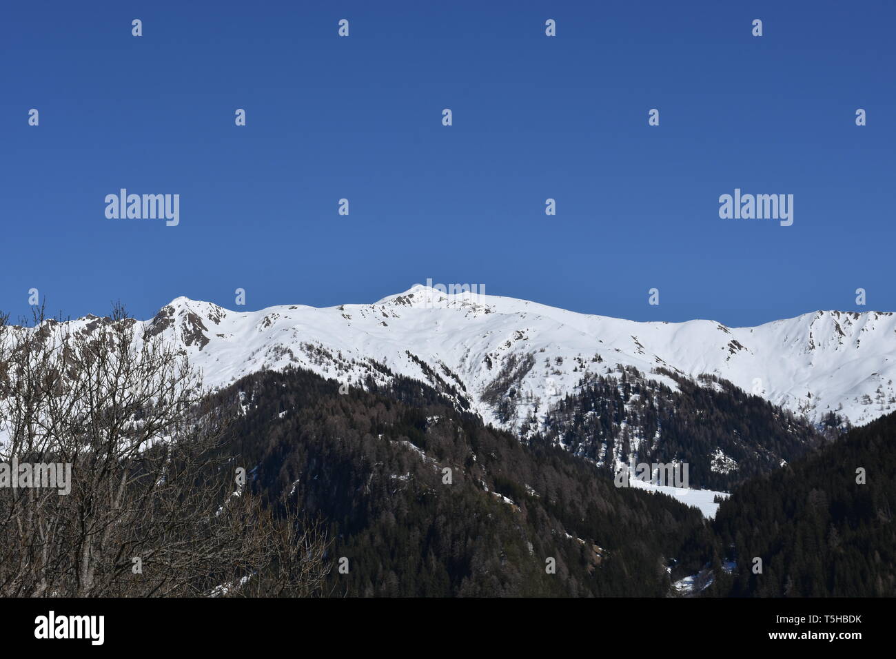 Navistal hi-res stock photography and images - Alamy