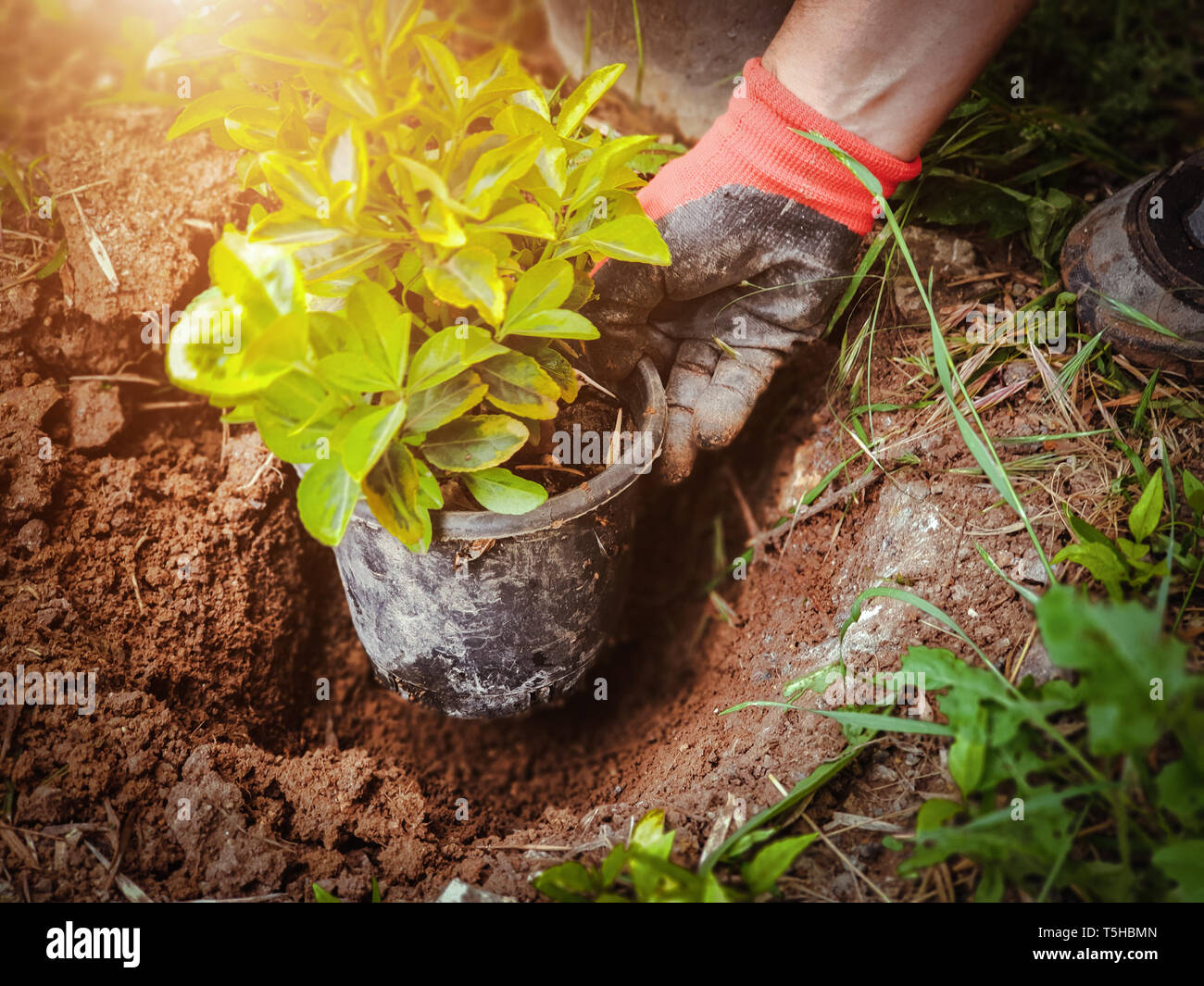 Dig up soil hi-res stock photography and images - Alamy