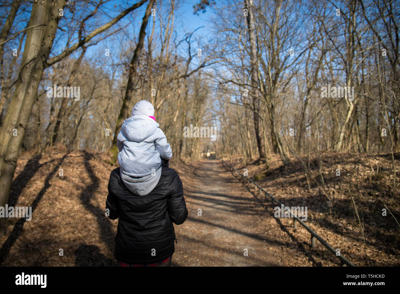Young dad carrying baby on his shoulders in a forest. Back view Stock ...