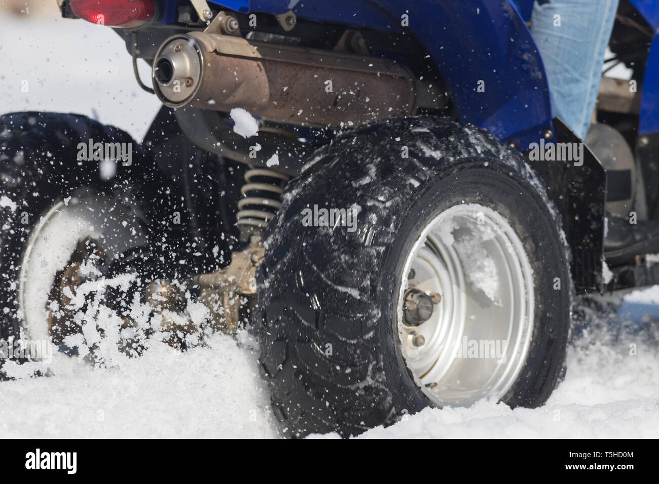 A bright blue snowmobile in the forest Stock Photo - Alamy