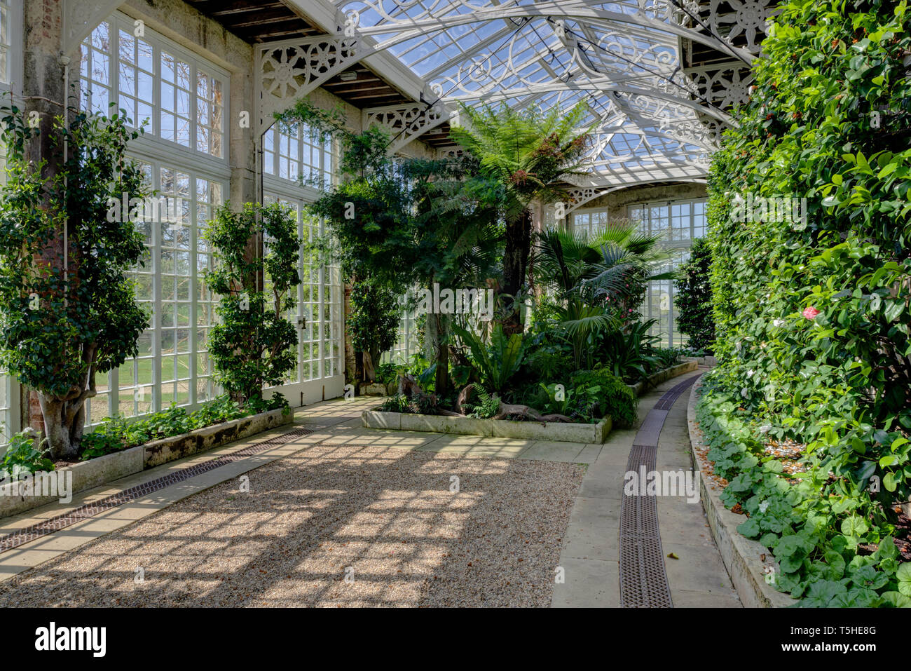 19th century conservatory hi-res stock photography and images - Alamy