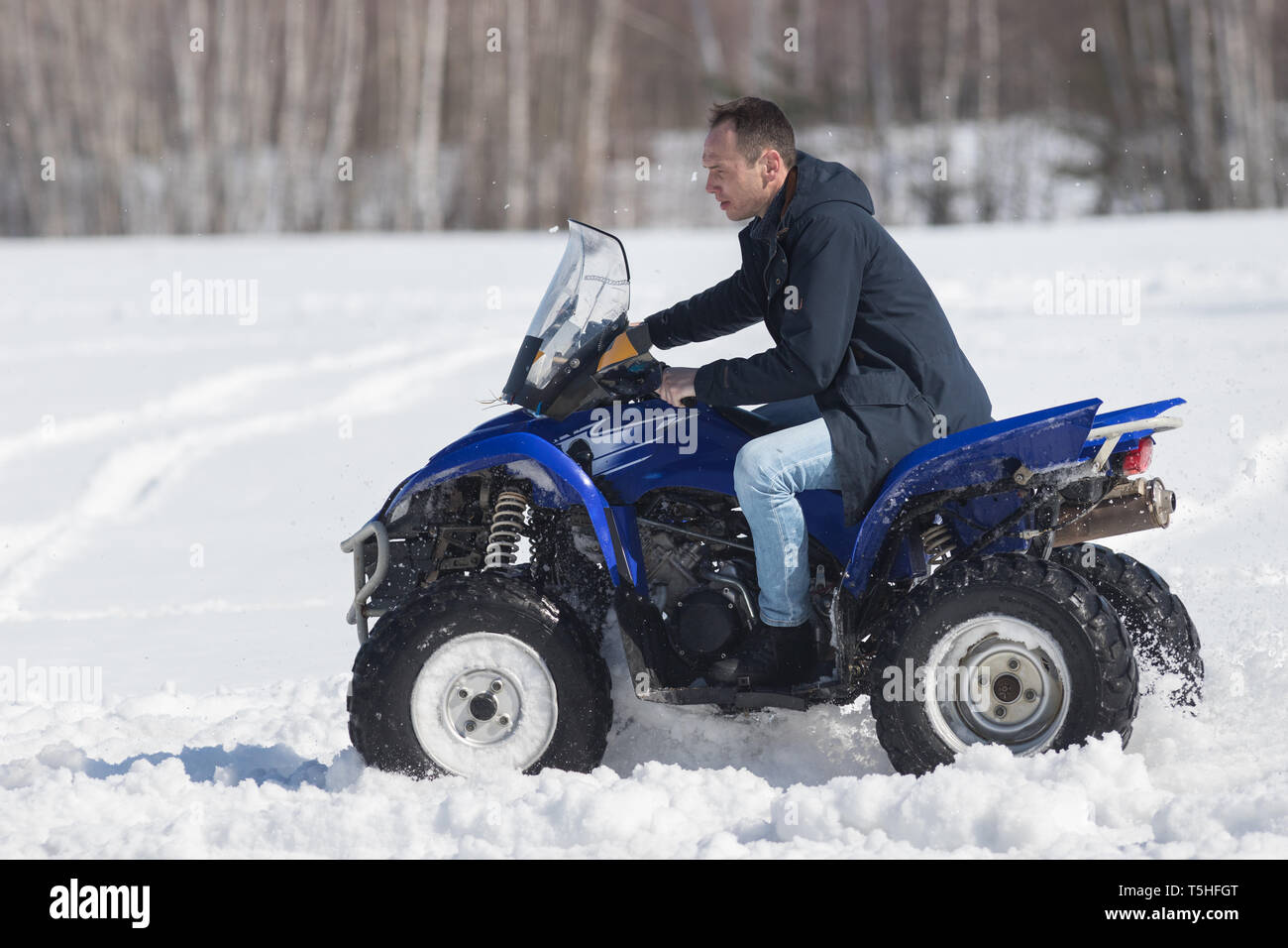 A winter forest in daylight. A man riding a big blue snowmobile Stock ...