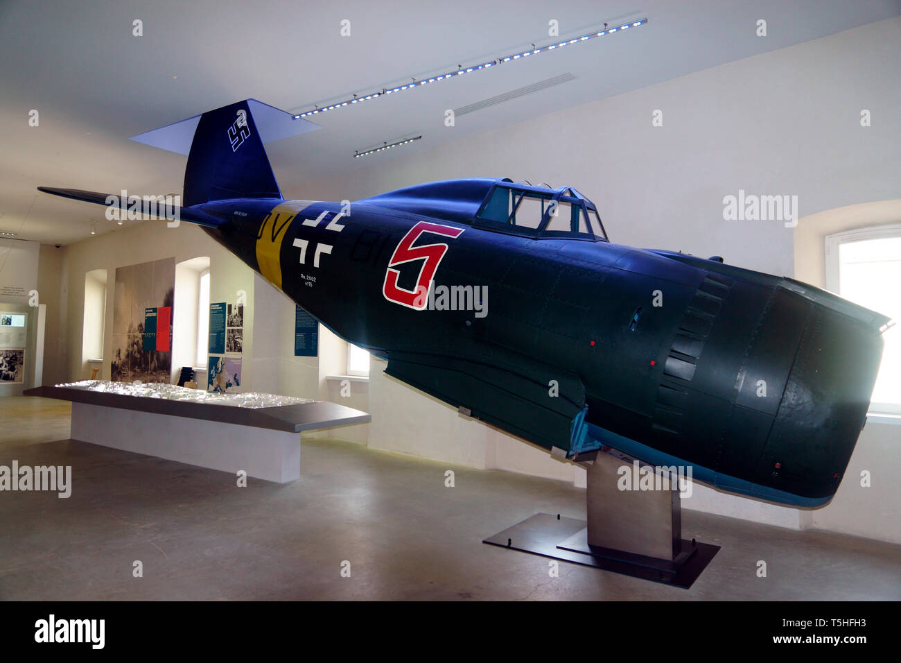 REGGIANE R.E. 2002 ARIETE II. ITALIAN FIGHTER-BOMBER Stock Photo - Alamy