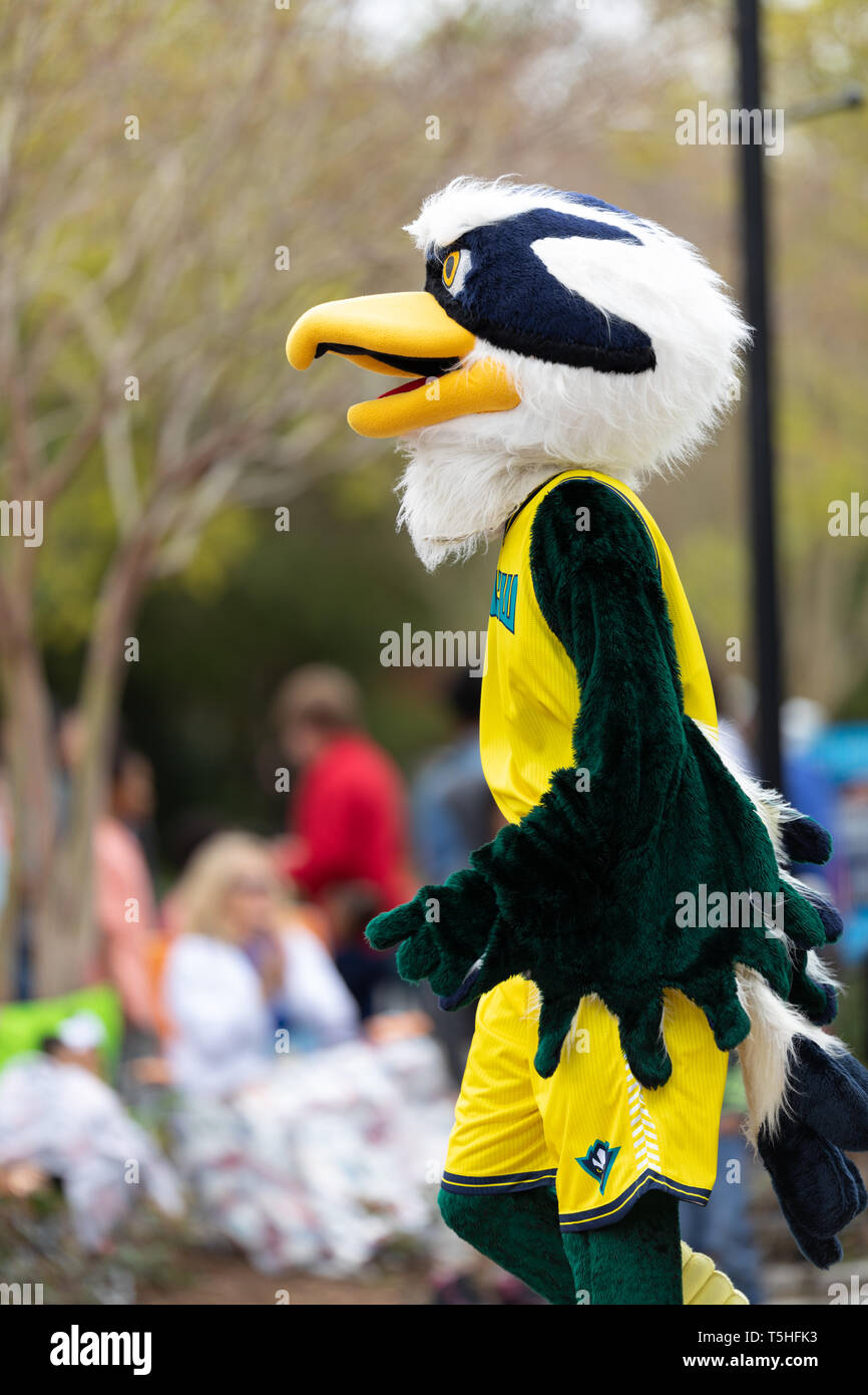 Hawk mascot hi-res stock photography and images - Alamy