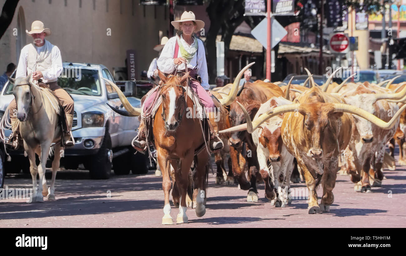 City of cowboys and culture hi-res stock photography and images - Alamy