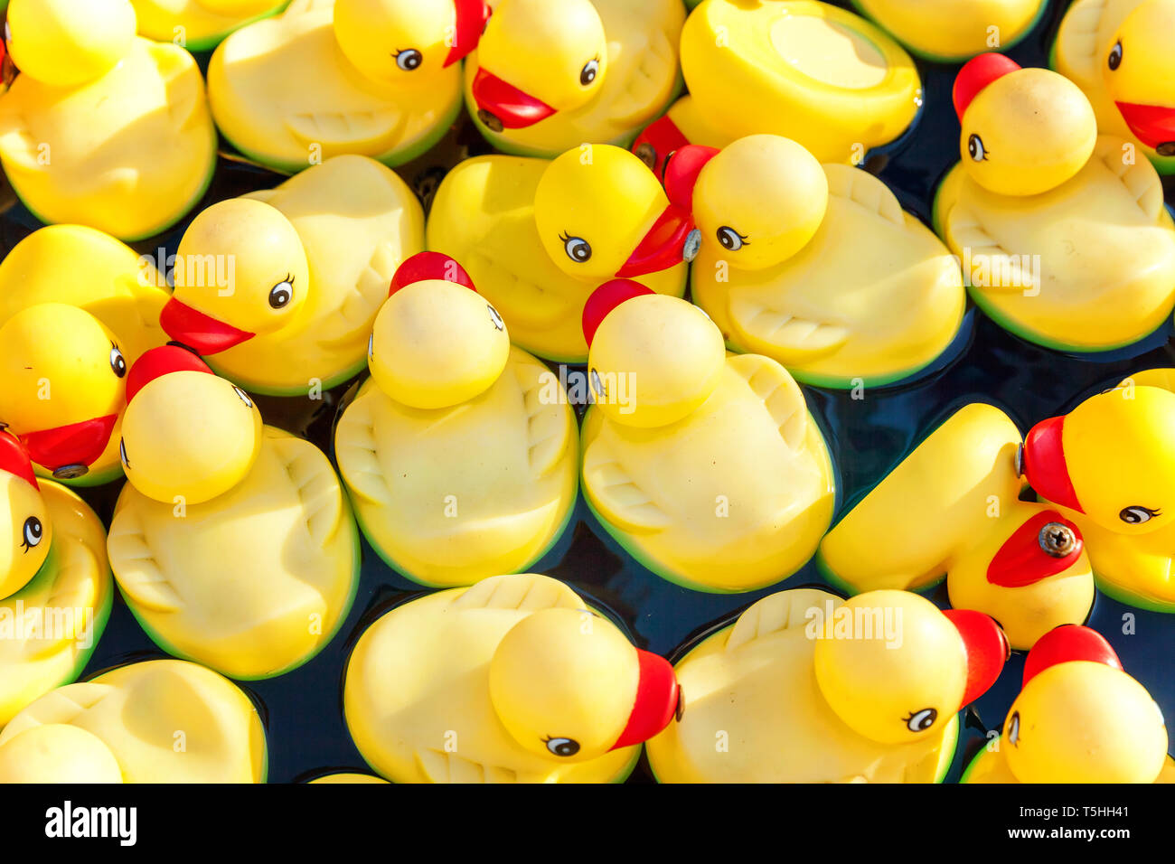 Plastic ducks in swimming pool hi-res stock photography and images - Alamy