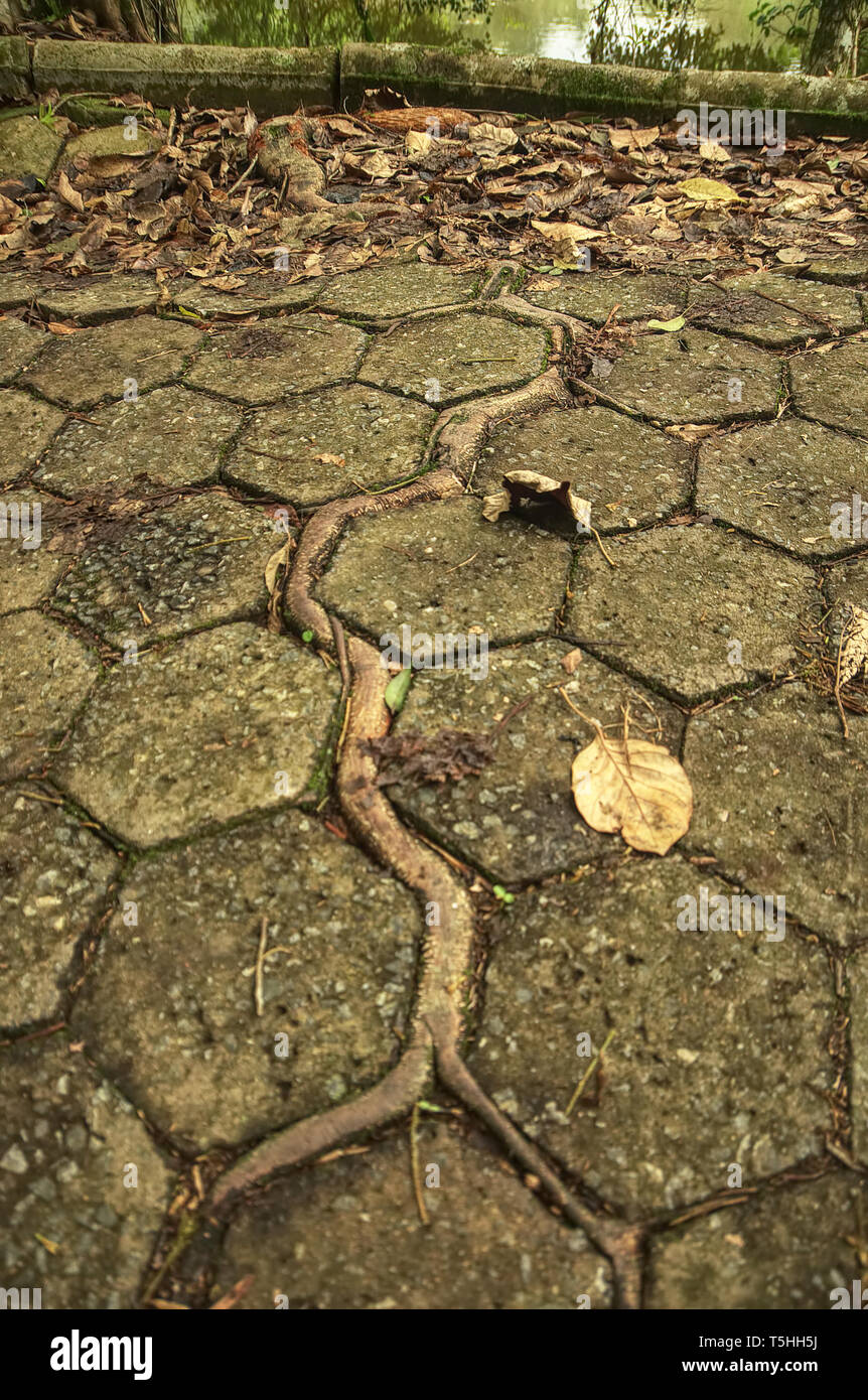 Conformity hi-res stock photography and images - Alamy