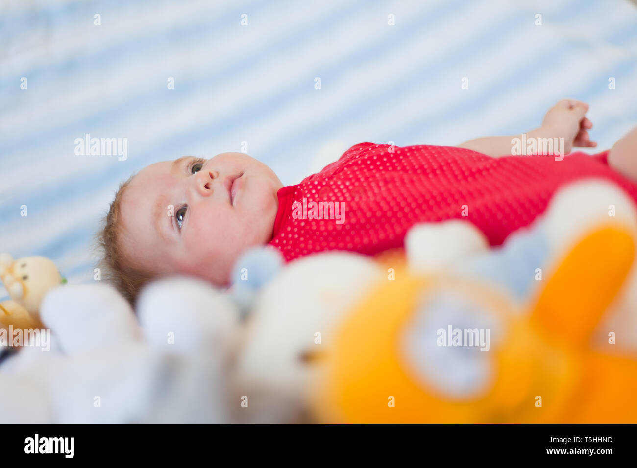 cute baby portrait close up, shallow dof Stock Photo - Alamy