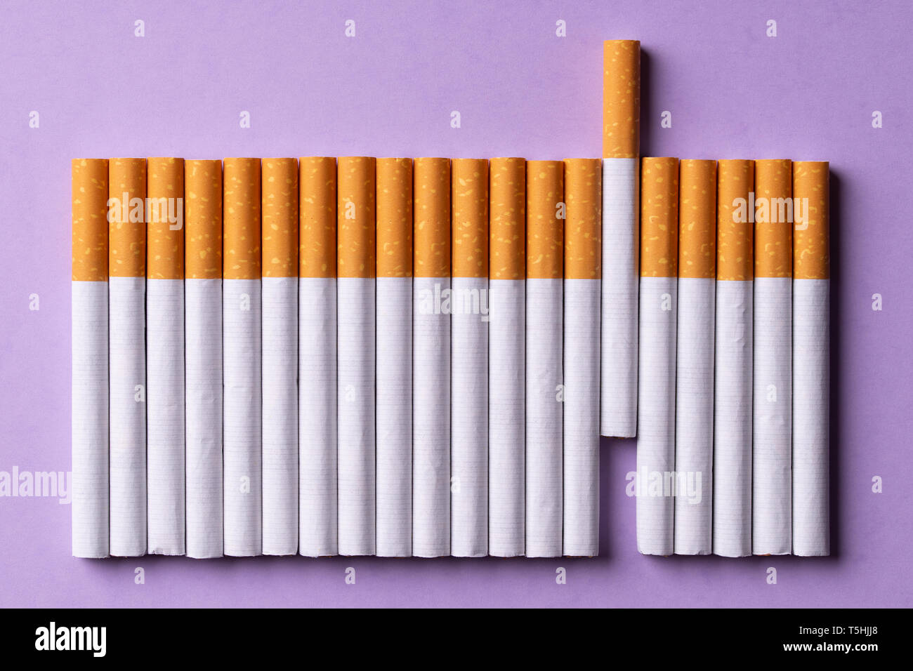 Multiple cigarettes organized in a row over purple background Stock ...