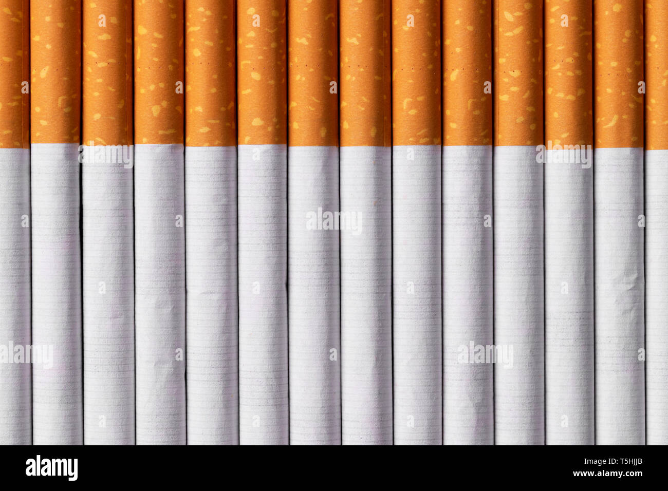 Multiple cigarettes organized in a row over purple background Stock ...