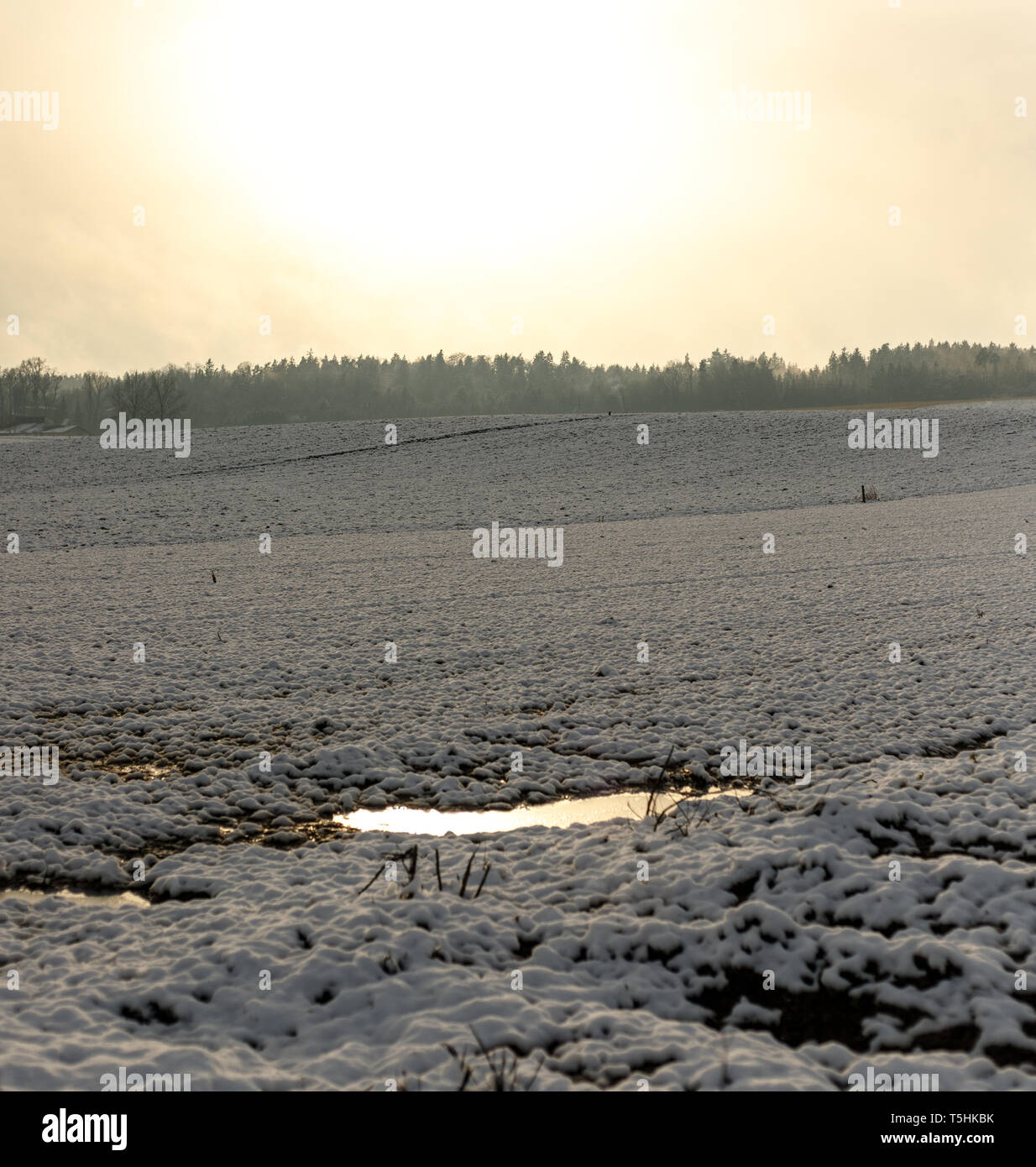 frozen field with snow and a small ice puddle in the middle of nowhere ...