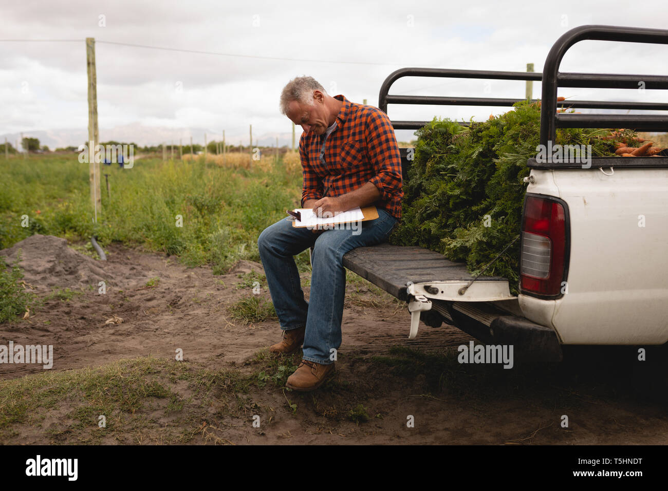 Car backside hi-res stock photography and images - Alamy