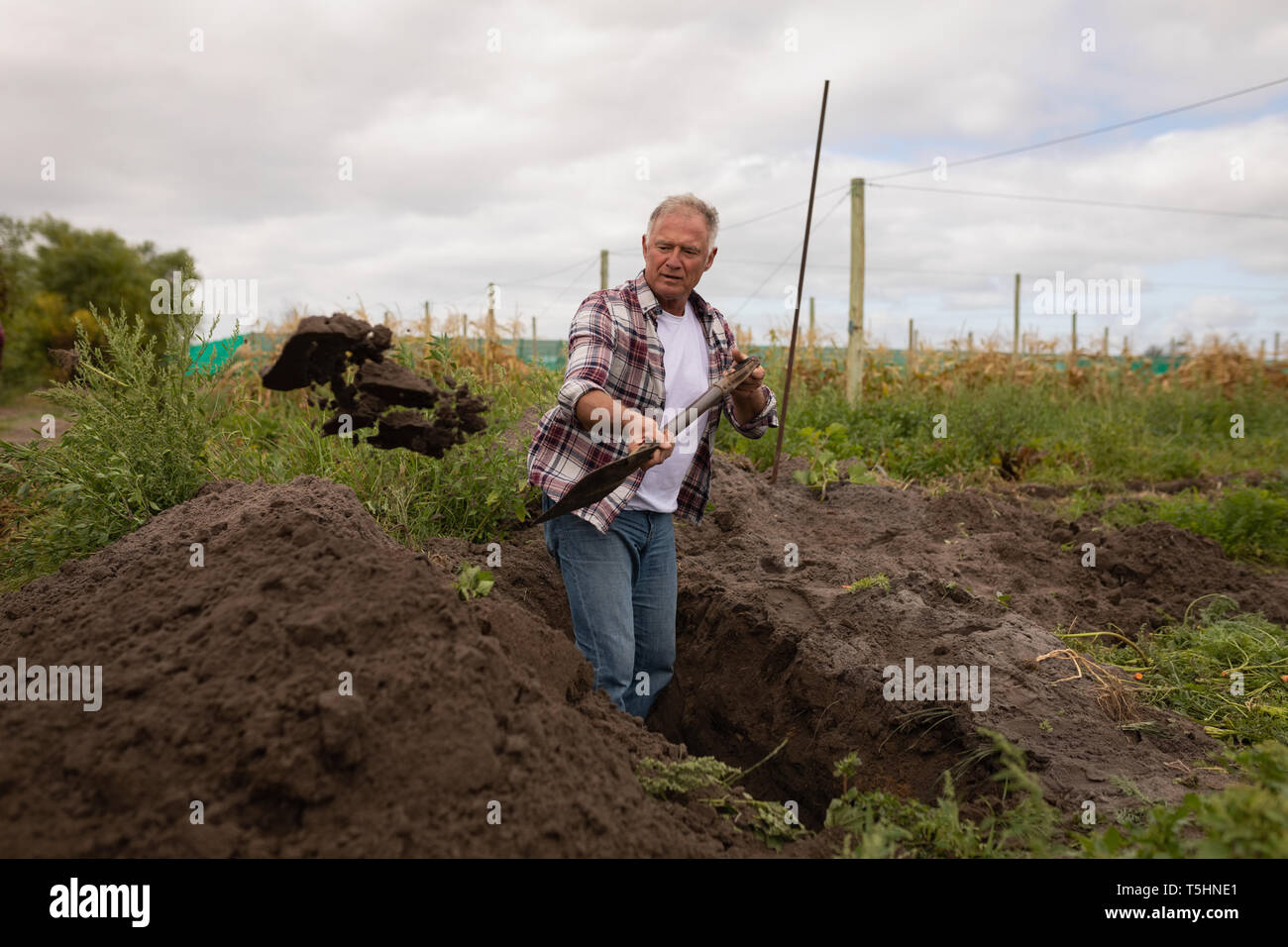 Men digging hi-res stock photography and images - Alamy