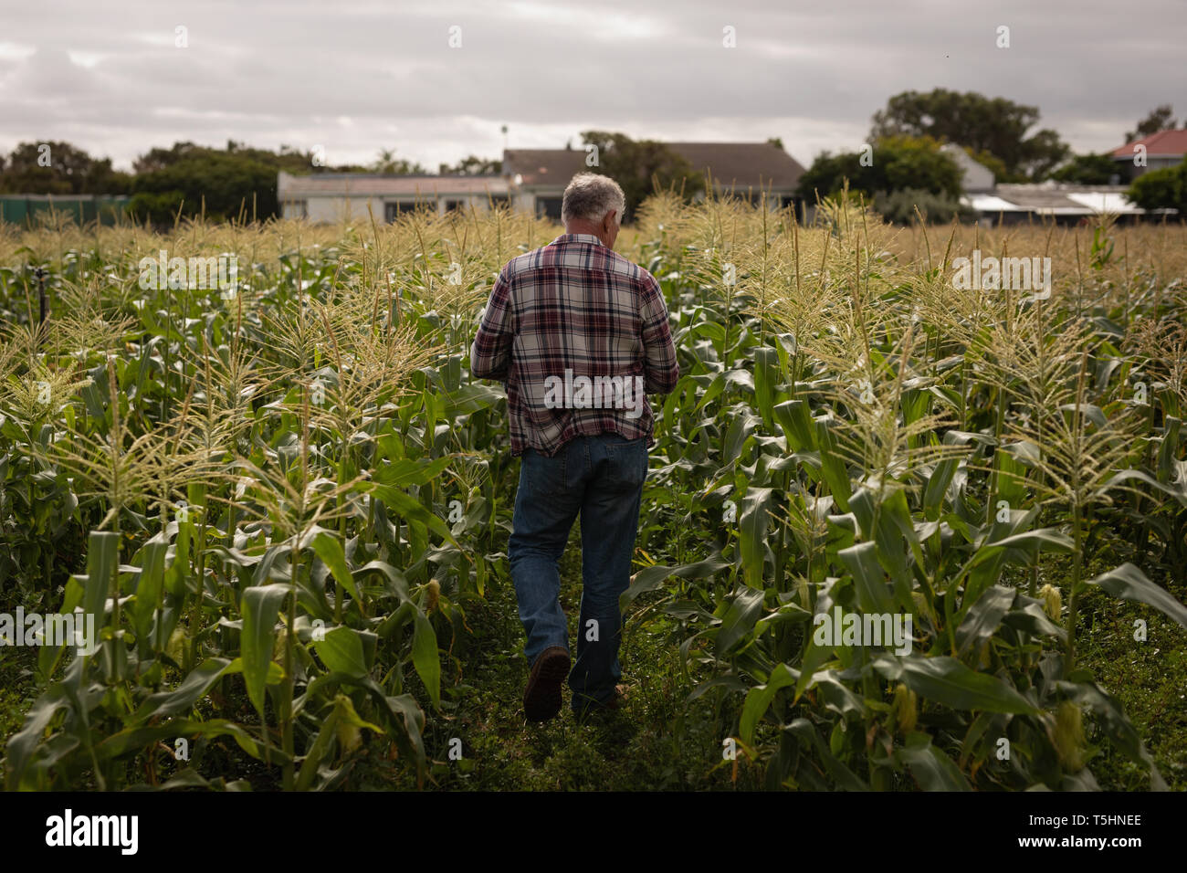 Farmer walking hi-res stock photography and images - Alamy