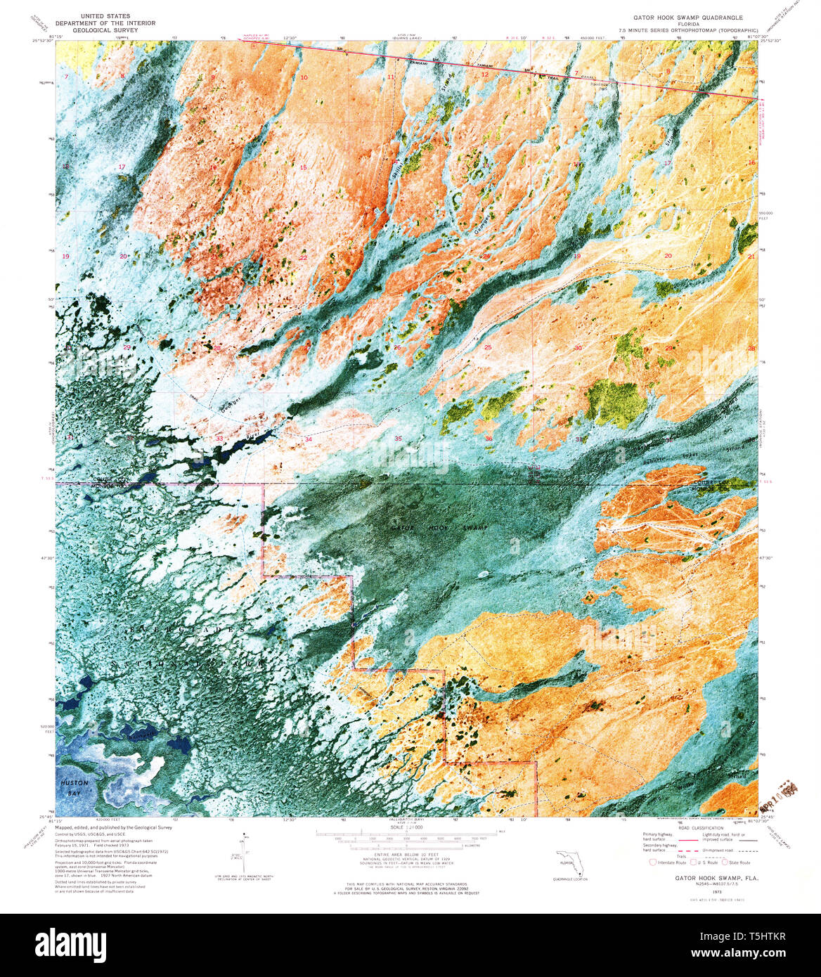 Gator swamp Cut Out Stock Images & Pictures - Alamy